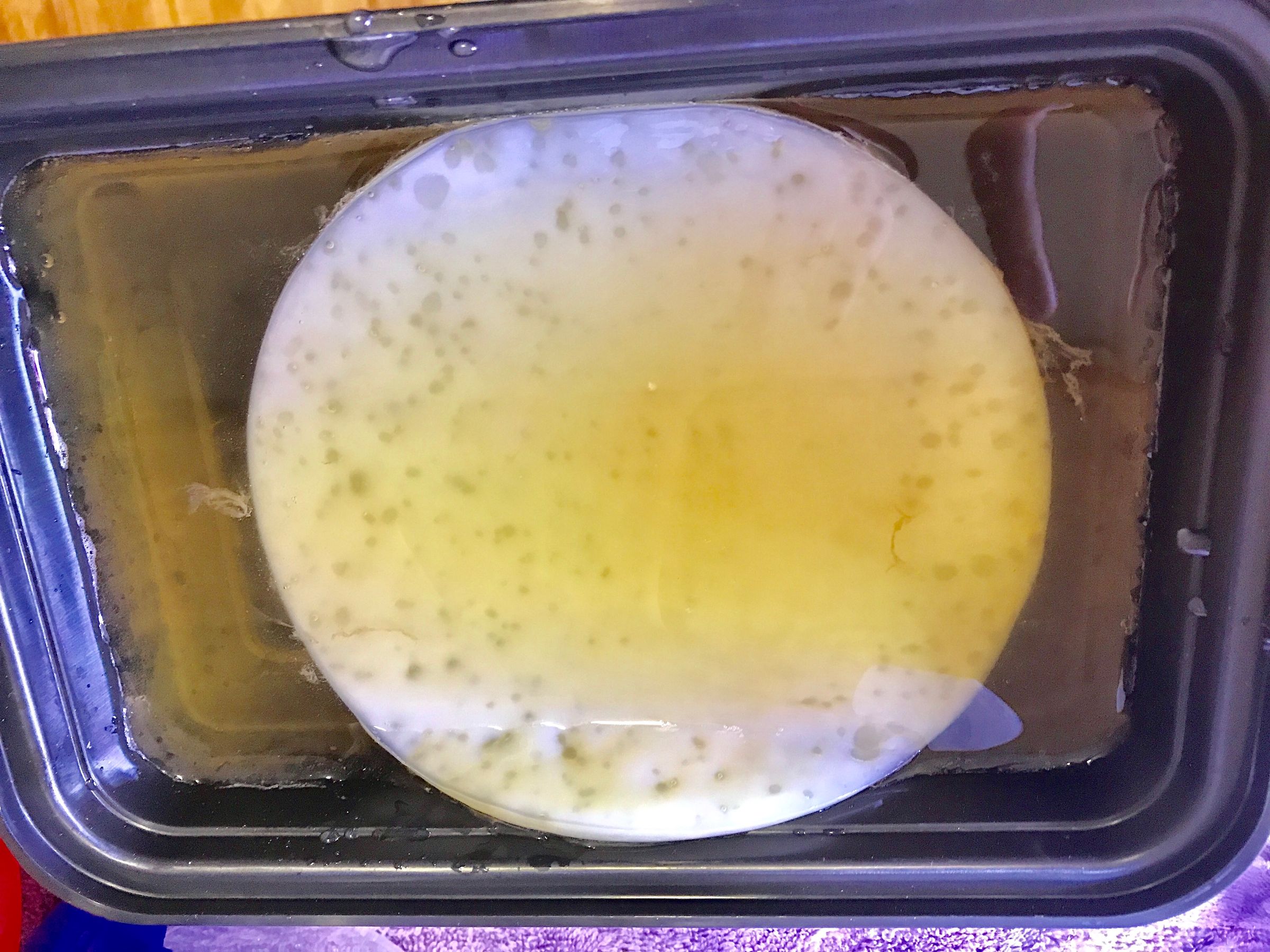 How to Grow a SCOBY : 4 Steps (with Pictures) - Instructables