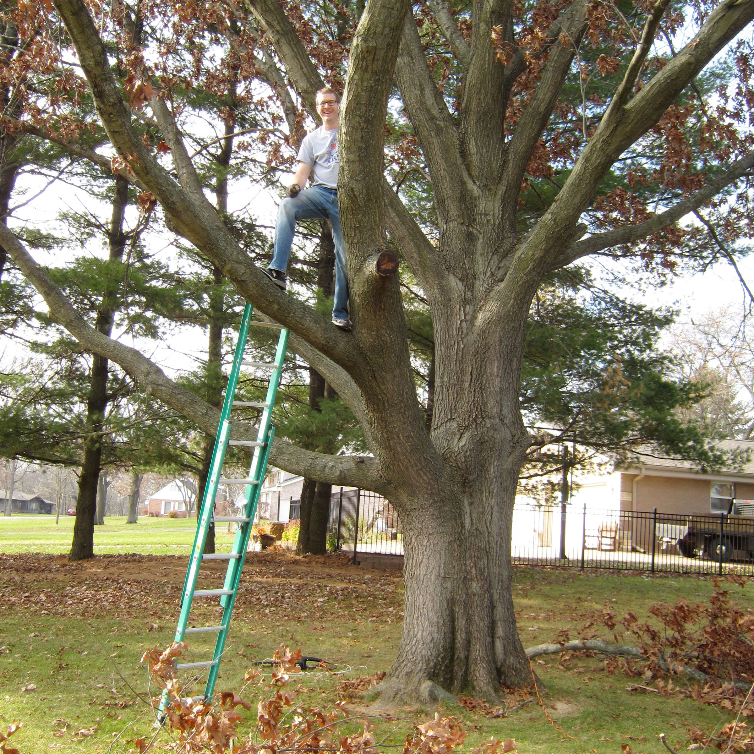 Branch Weaving : 5 Steps (with Pictures) - Instructables