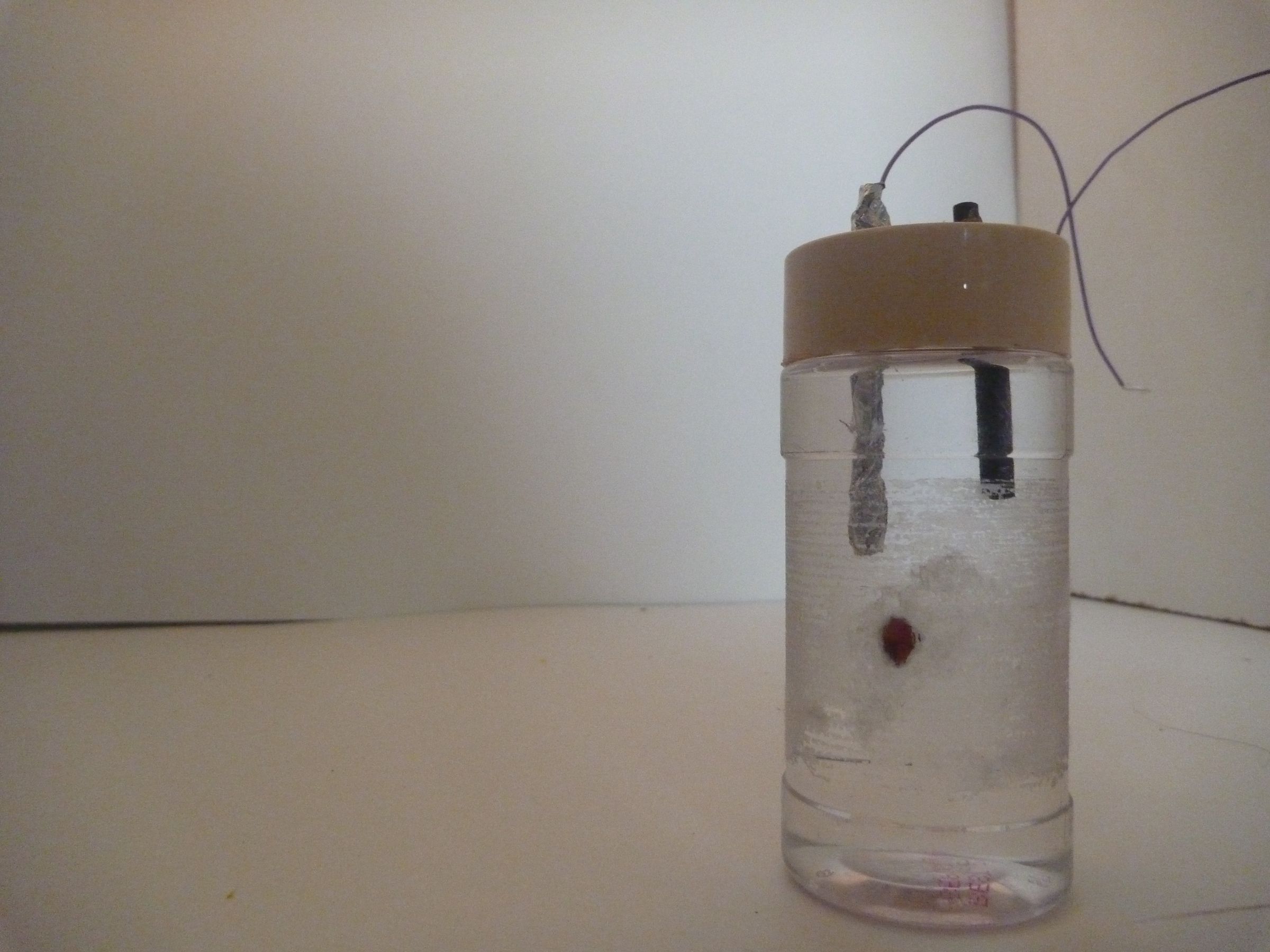 Build Your Own Batteries! : 5 Steps (with Pictures) - Instructables