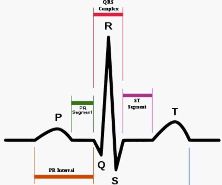 ECG Design Project - Nick Most : 5 Steps - Instructables