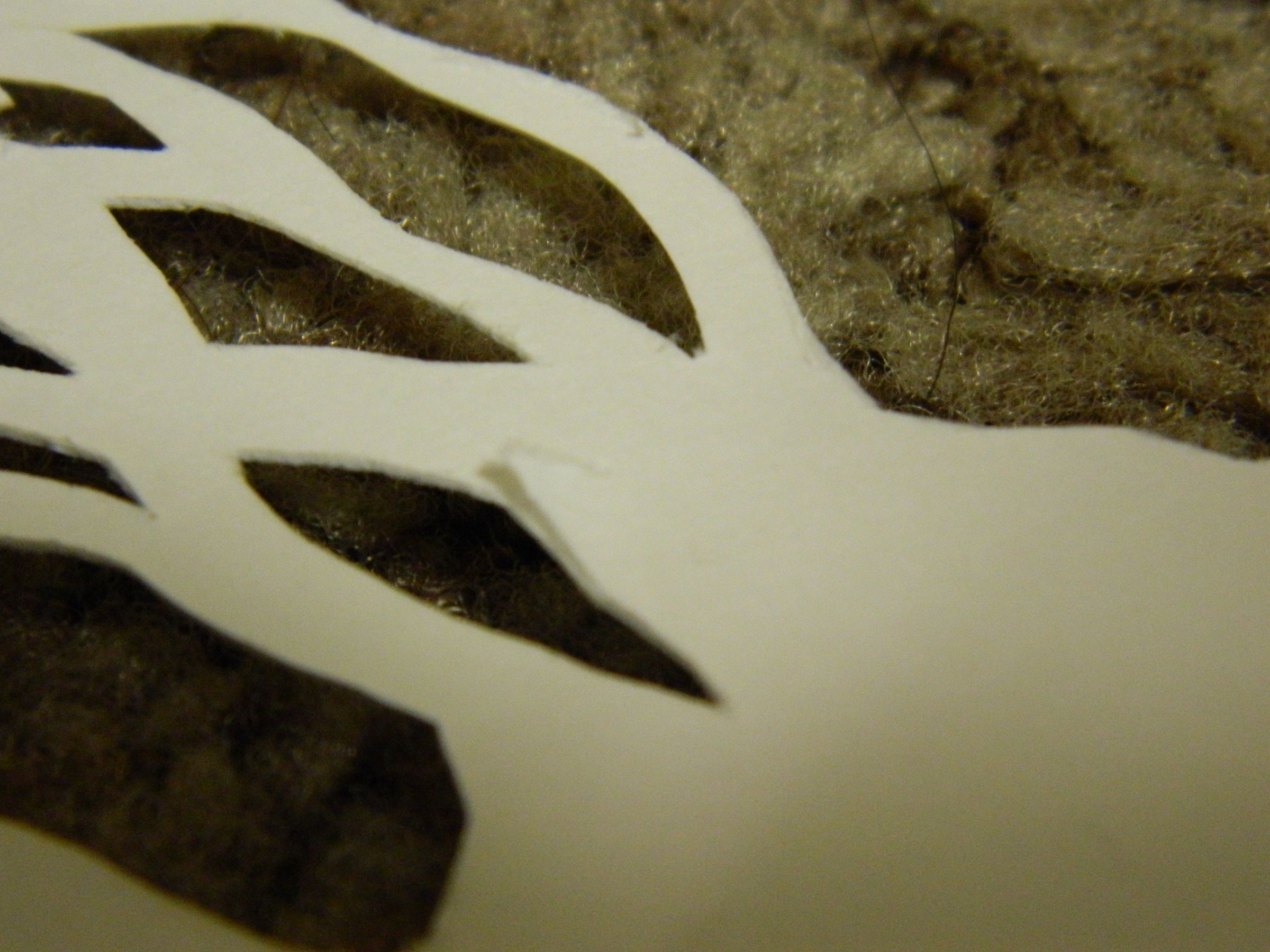 Paper Cut Shadow Box : 5 Steps (with Pictures) - Instructables