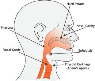 How to Lower Your Voice : 3 Steps - Instructables