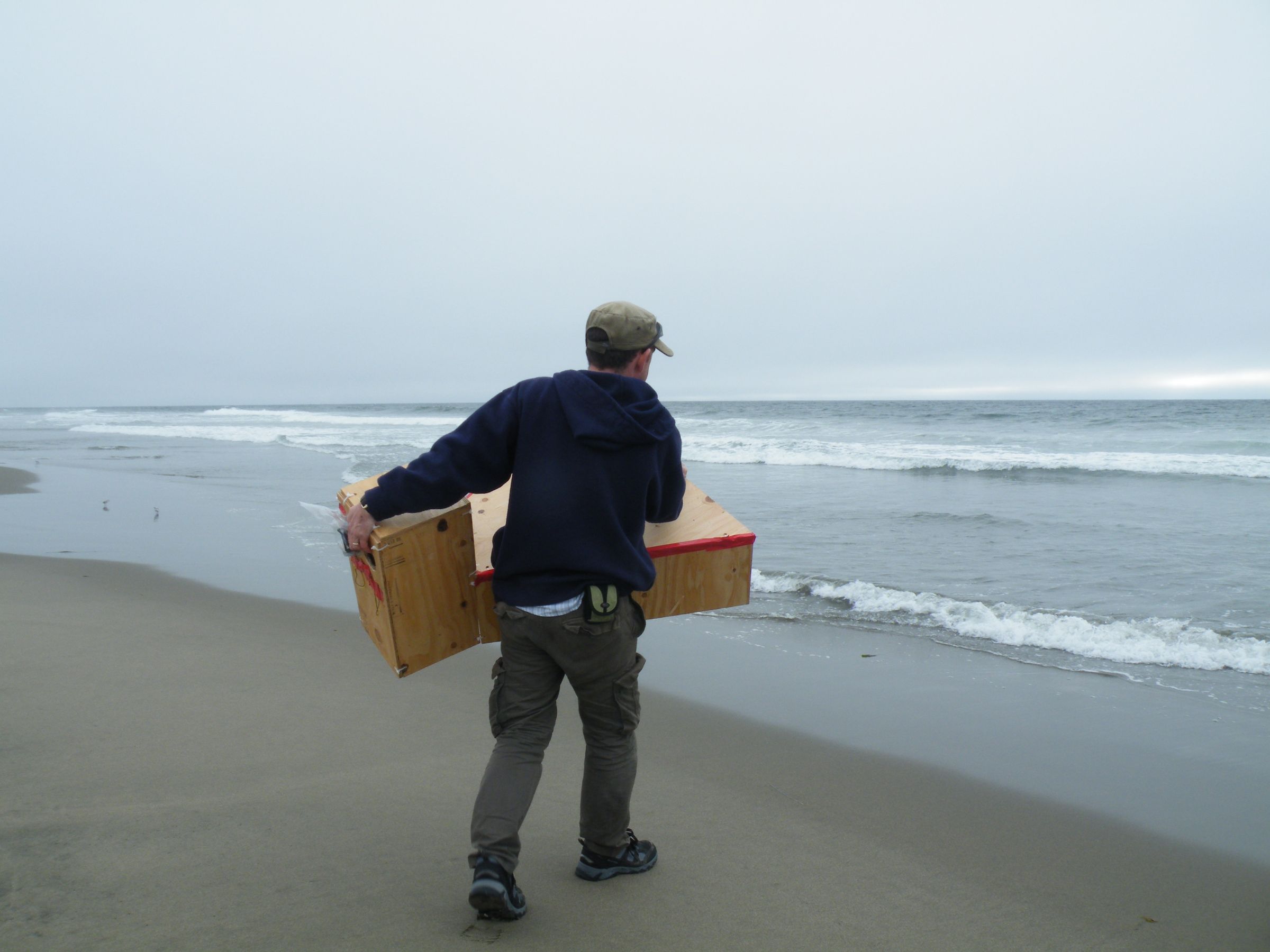 Small-scale Wave-power - Free Energy From the Beach! : 6 Steps (with ...