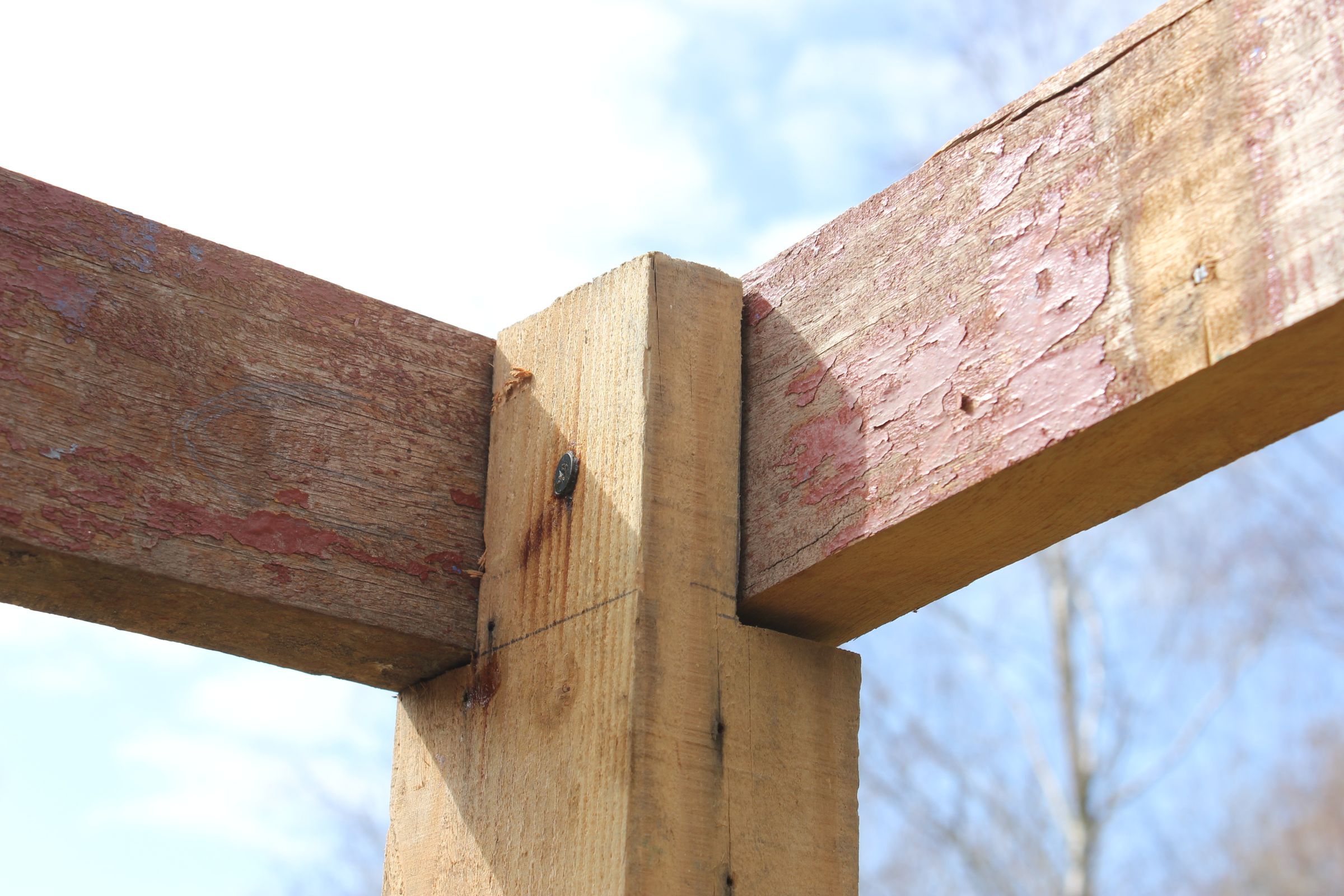 DIY Verandah-style Greenhouse, Sunspace, Draught Lobby, Made From ...