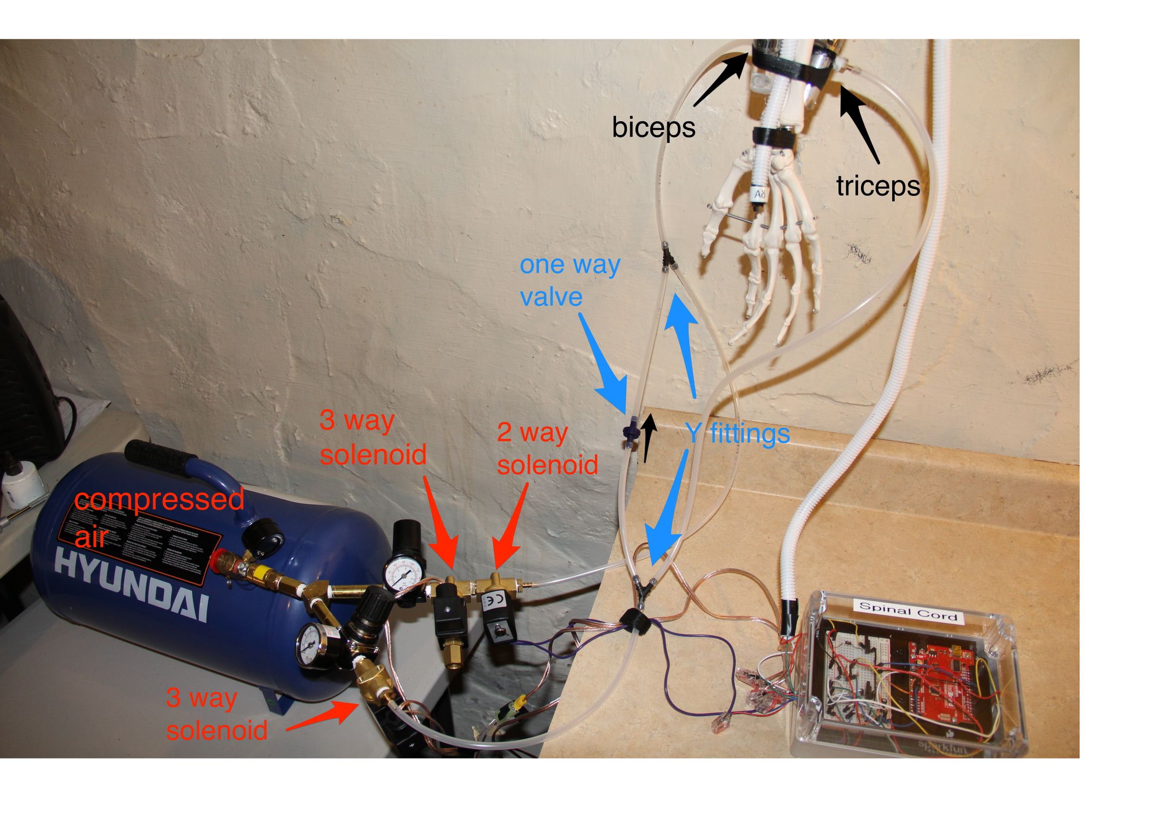 Arduino Mechanotronic Human Pain Reflex : 6 Steps (with Pictures ...