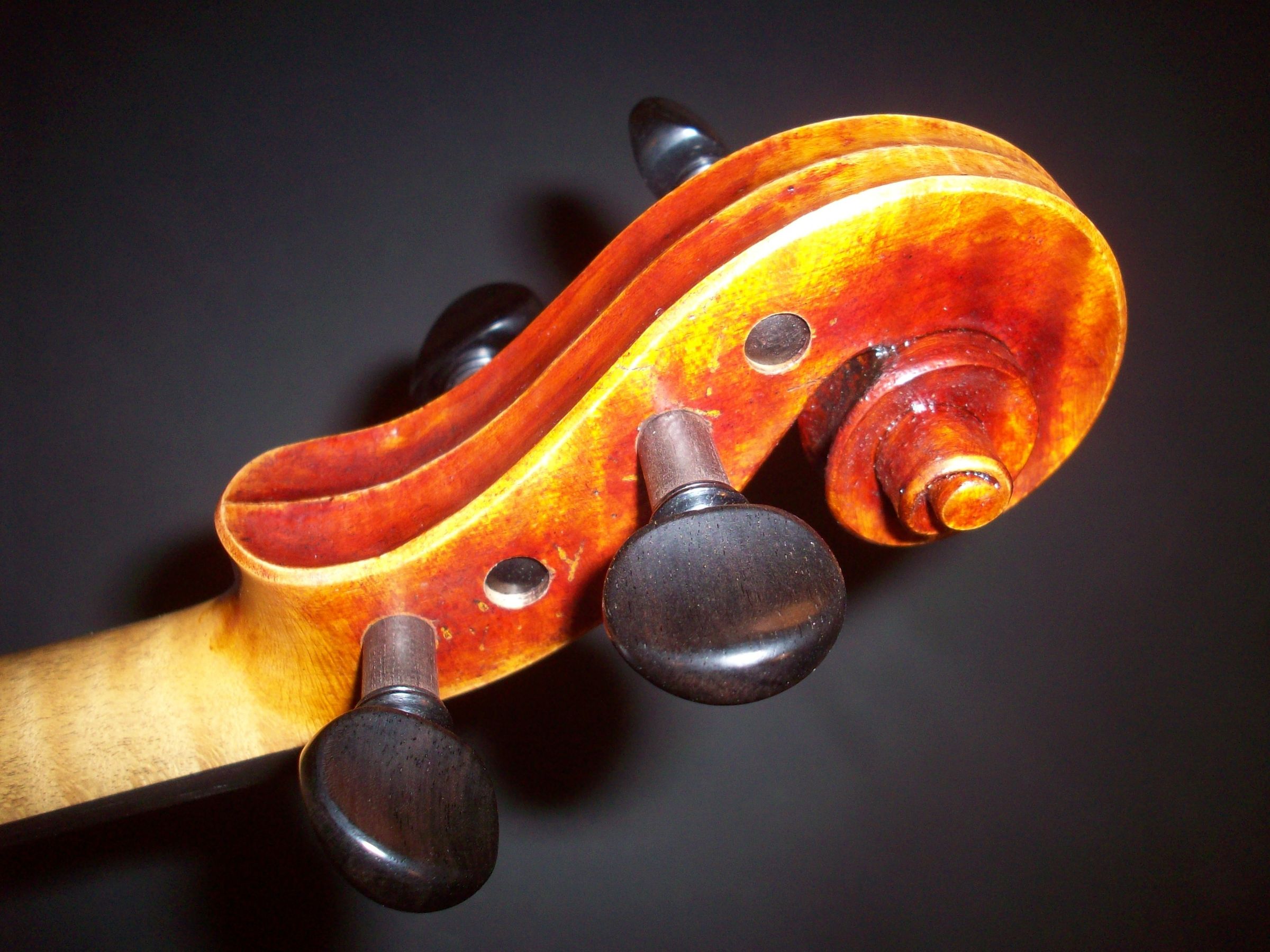 The Birth of a Volute : 7 Steps (with Pictures) - Instructables