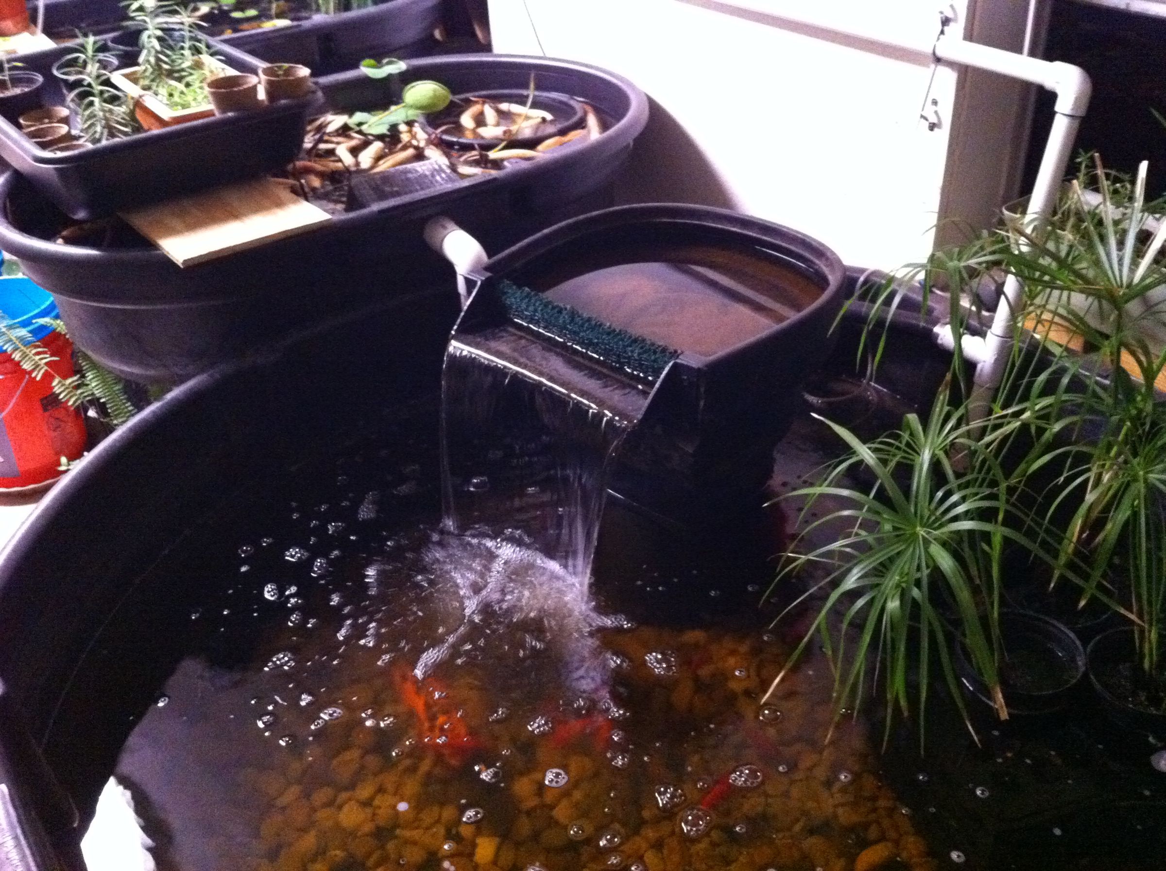 Build a Vertical Aquaponic Veggie & Fish Farm for Small Yards & Houses ...