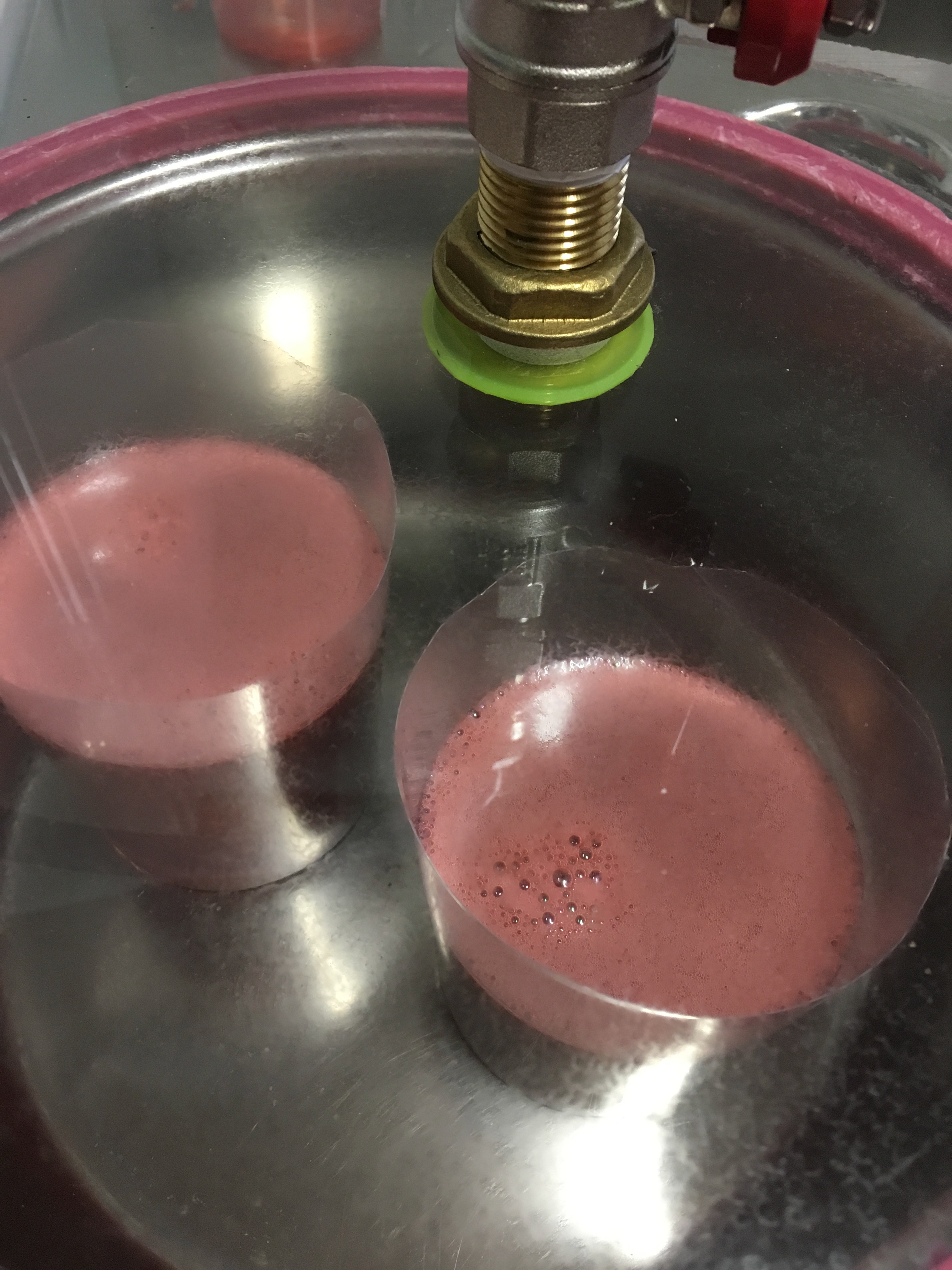 Banksia Nut Epoxy Cast : 6 Steps - Instructables