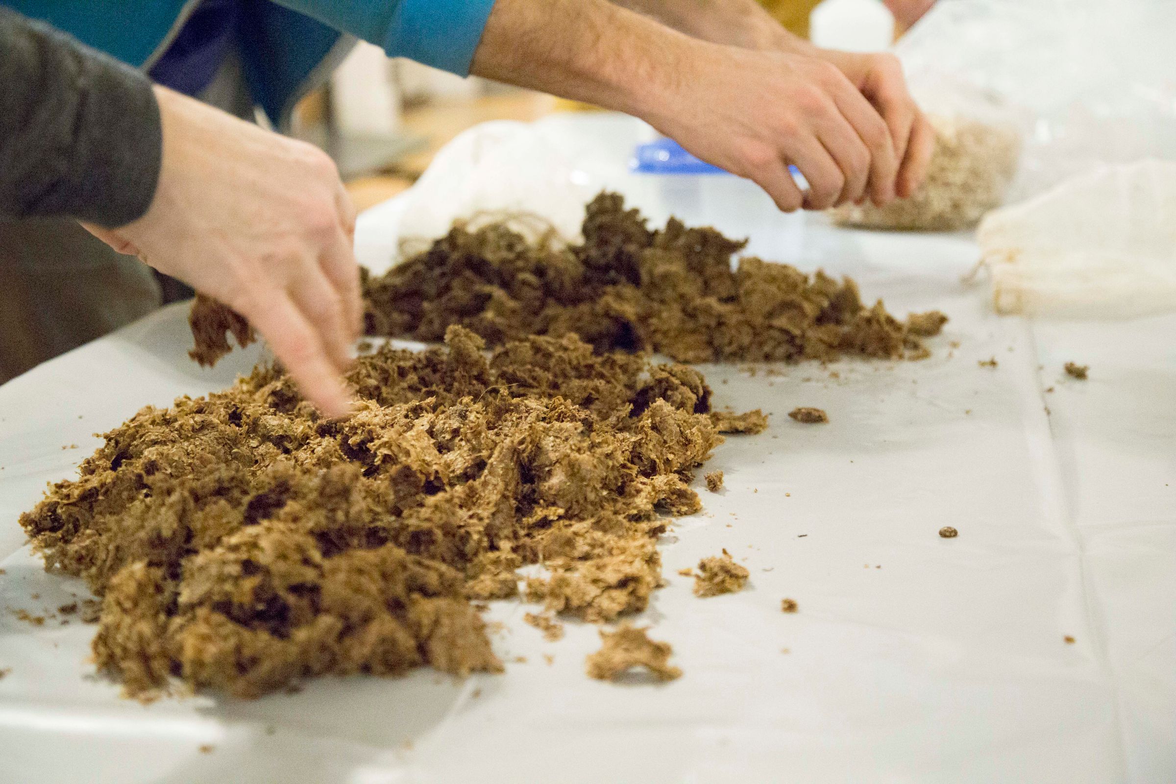 Mycelial Forms : 9 Steps (with Pictures) - Instructables