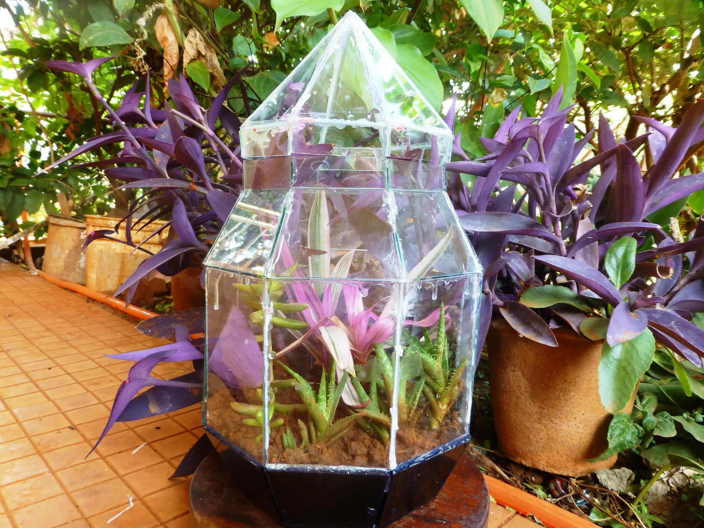 Stained Glass Terrarium: a Weekend Project : 13 Steps (with Pictures ...