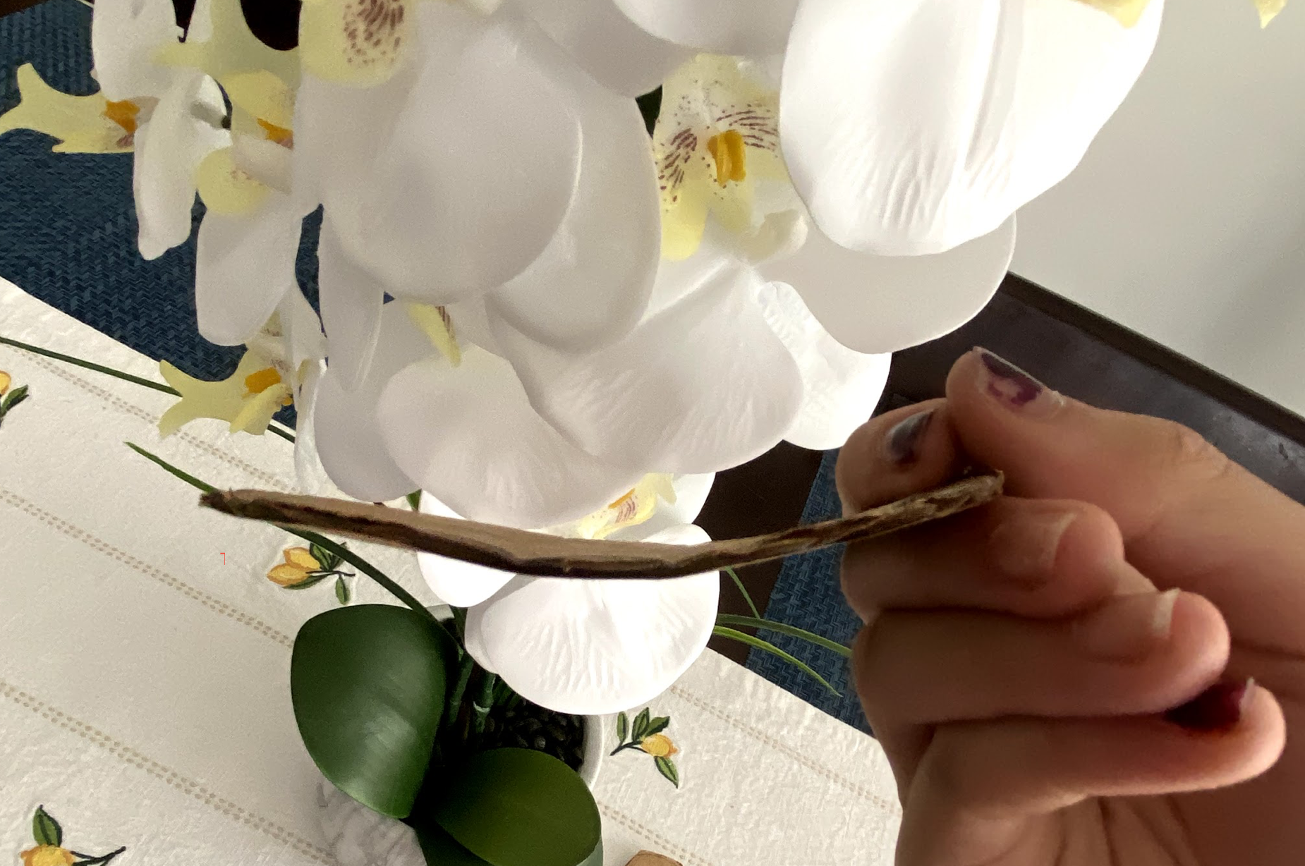 Turning a Cardboard Box Into a Totoro Cat Bus : 9 Steps (with Pictures ...