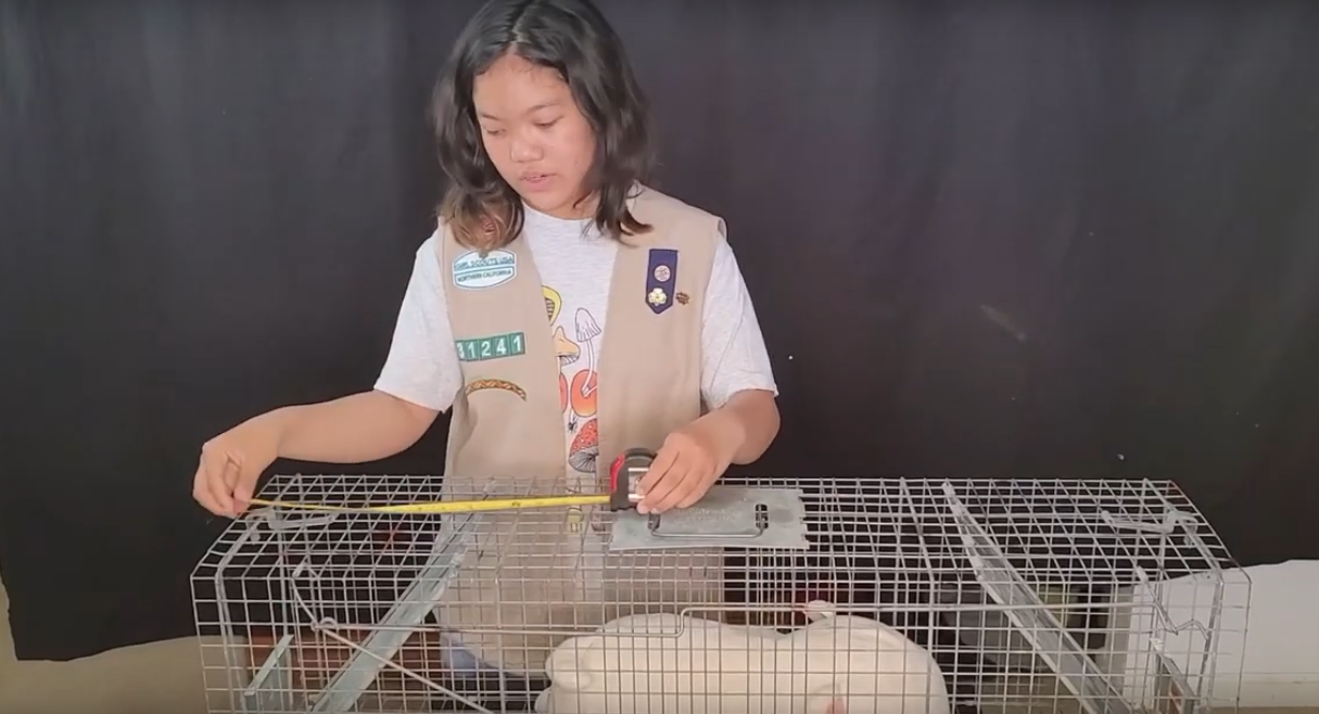 How to Measure a Tnr Trap, Make a Sewing Pattern and Sew Tnr Trap Cover : 9 Steps (with Pictures ...