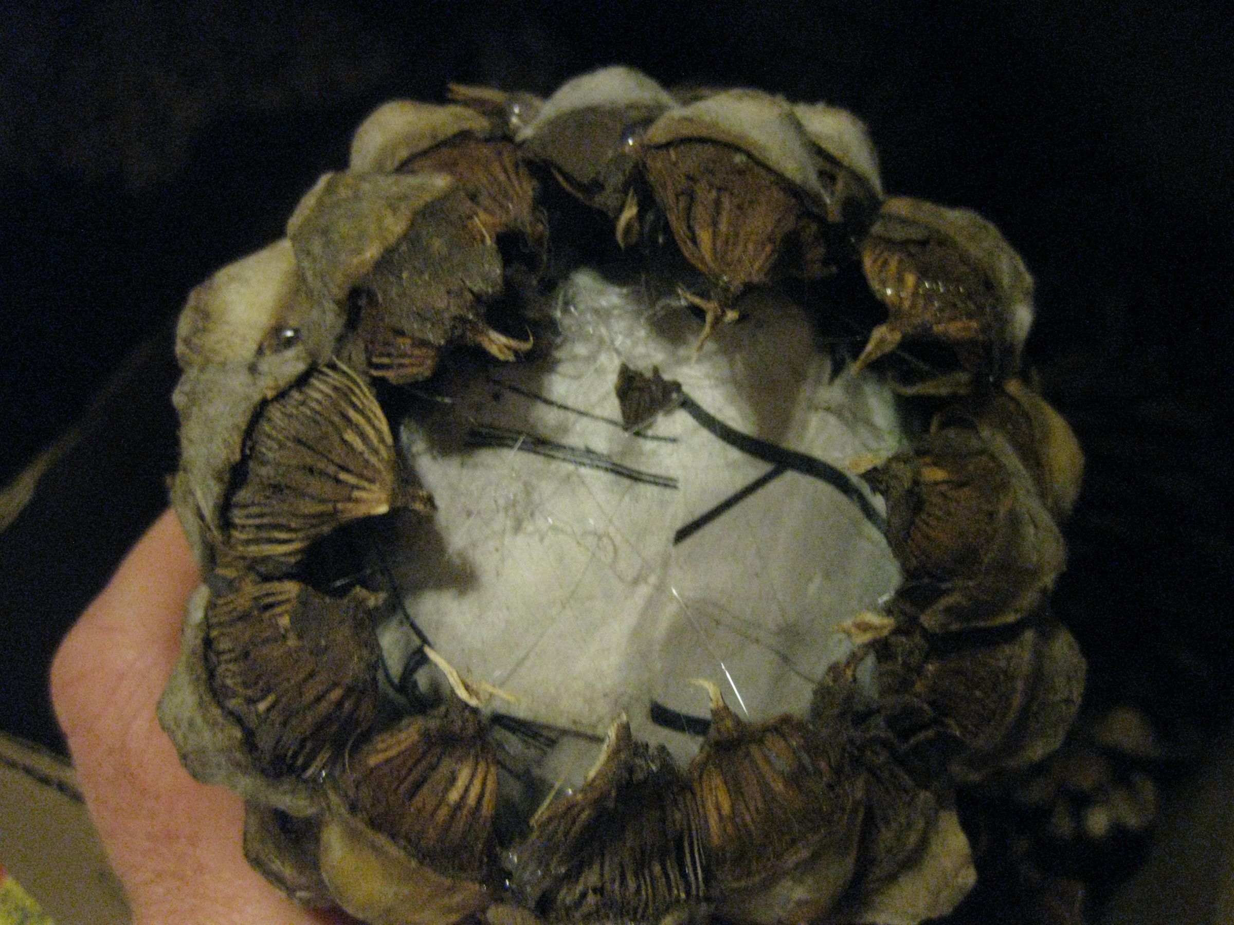 Giant Acorns : 3 Steps - Instructables