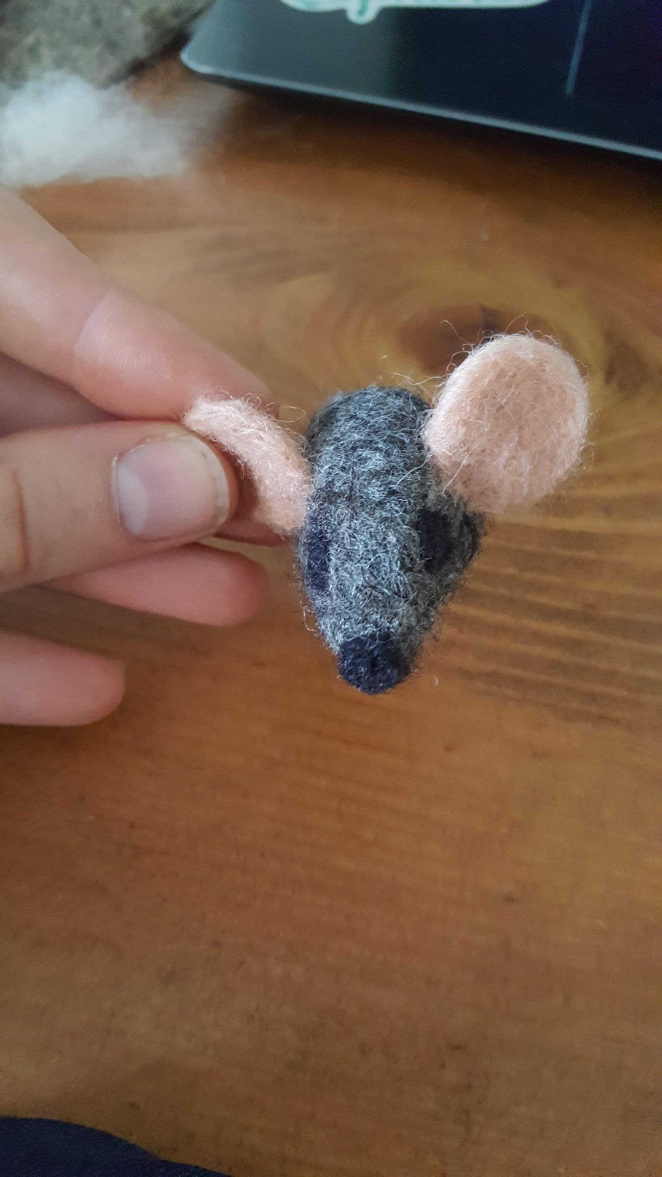 Needle Felted Catnip Mouse Toy : 7 Steps (with Pictures) - Instructables