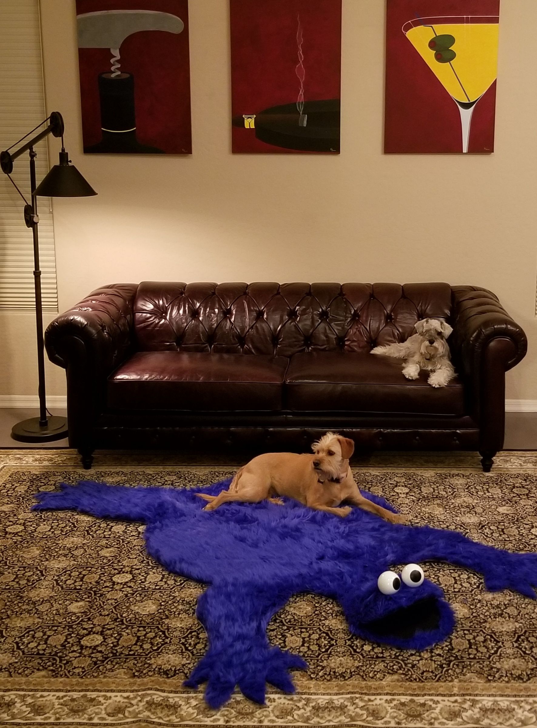 Cookie Monster Rug : 21 Steps (with Pictures) - Instructables