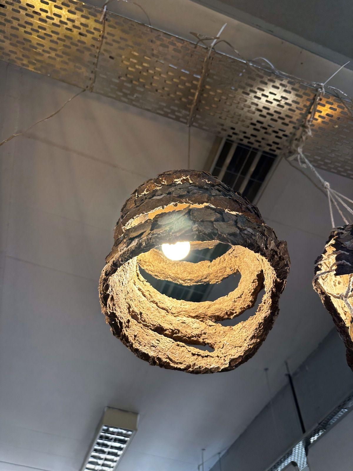 Smart Bio Luminaire : 7 Steps - Instructables