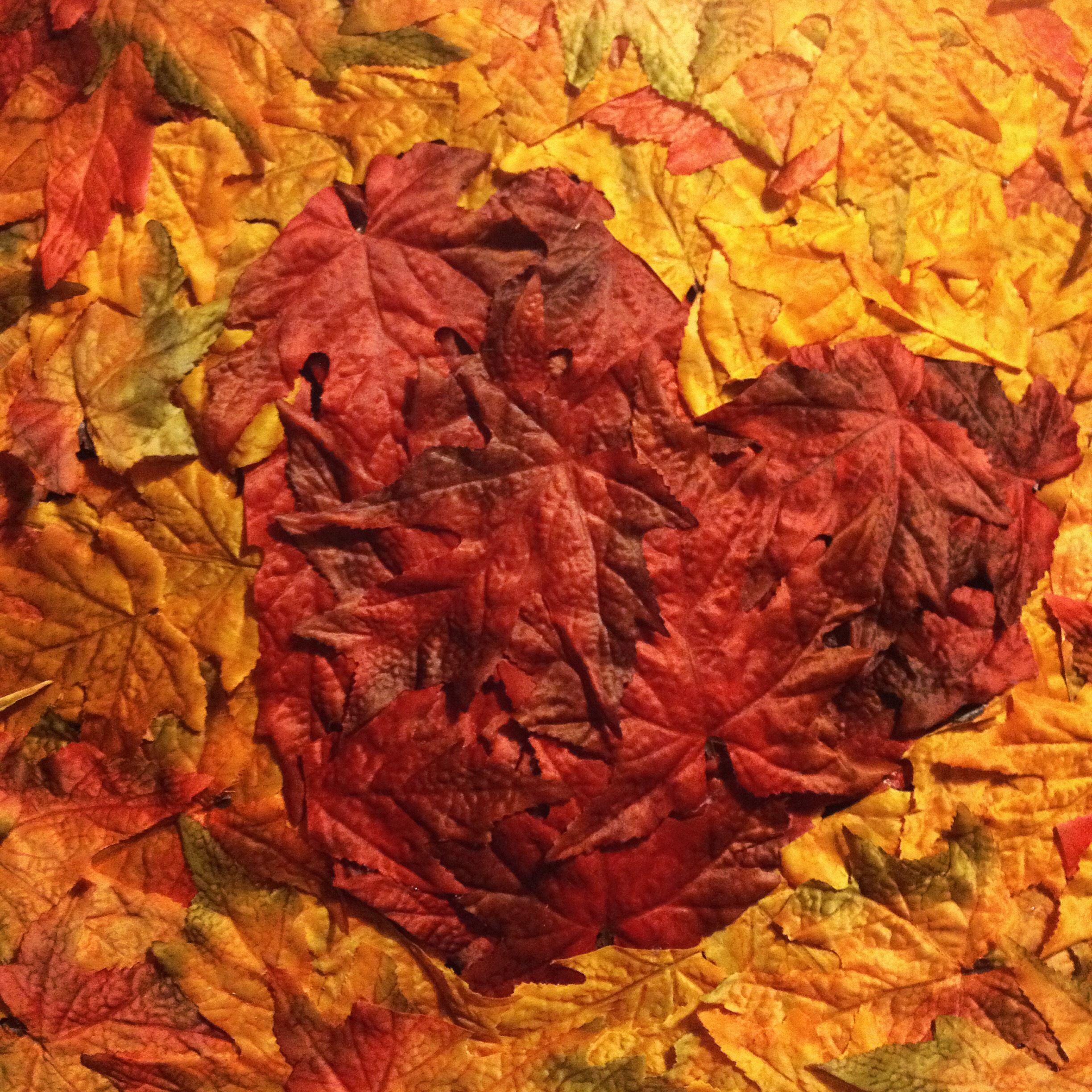 Fall Leaf Shadow Box : 5 Steps - Instructables