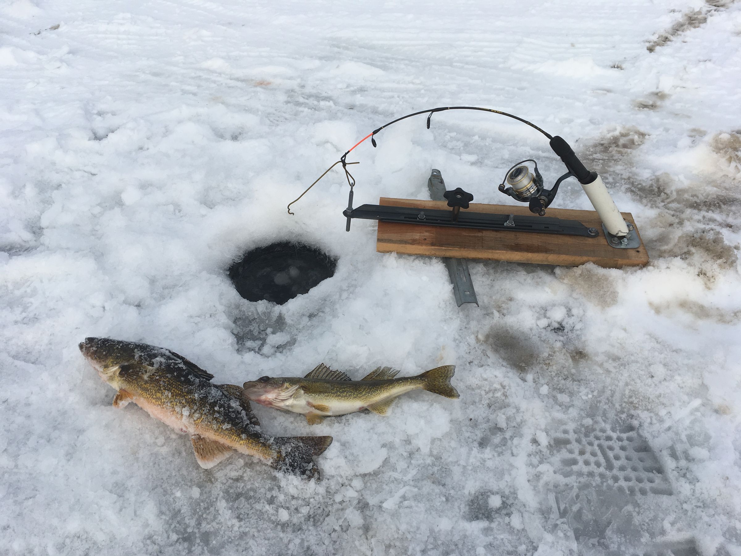 Auto Fisherman Hook Setter : 8 Steps (with Pictures) - Instructables