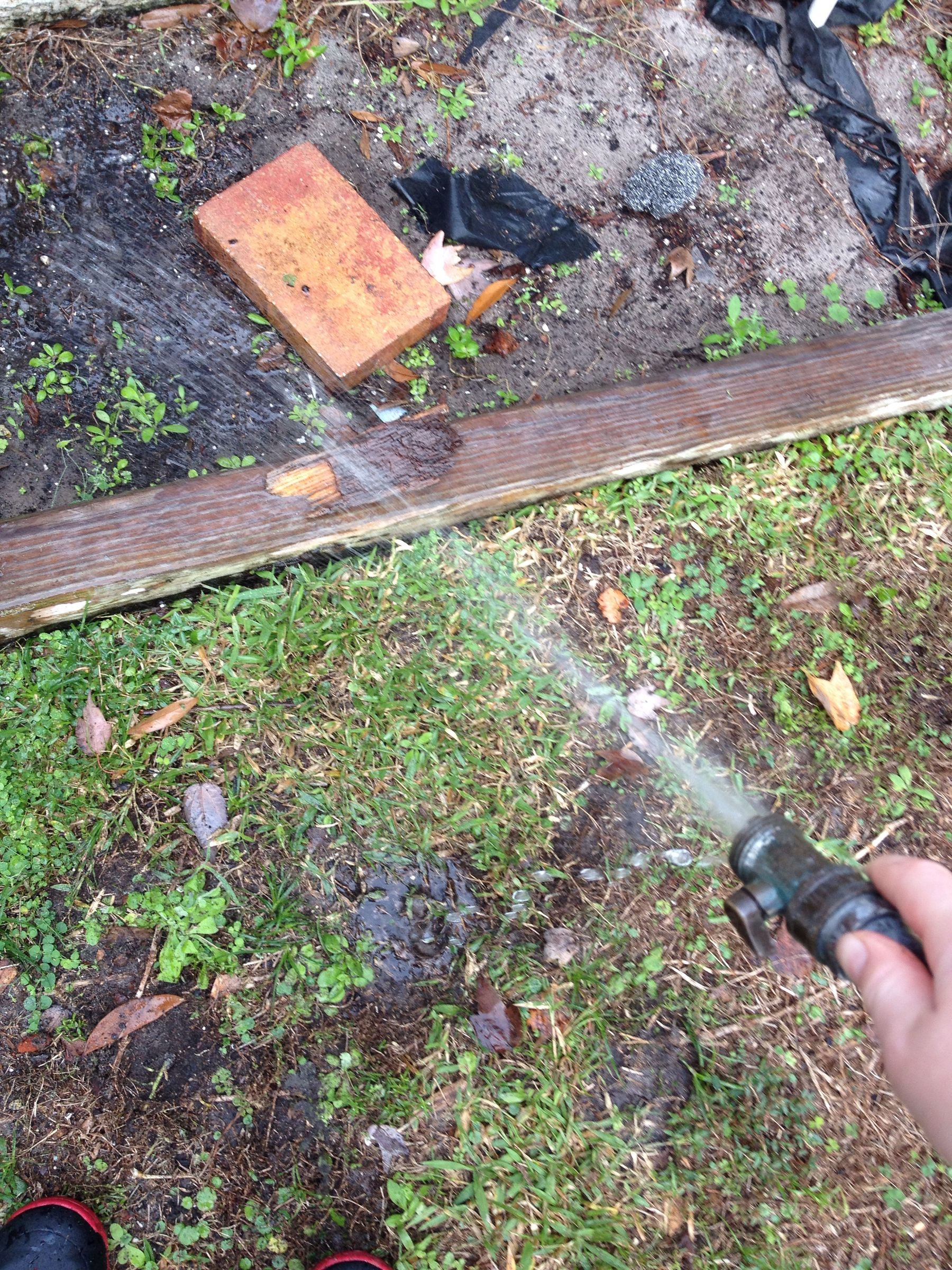 Making a Reptile Climbing Stick and Hiding Stick : 5 Steps - Instructables