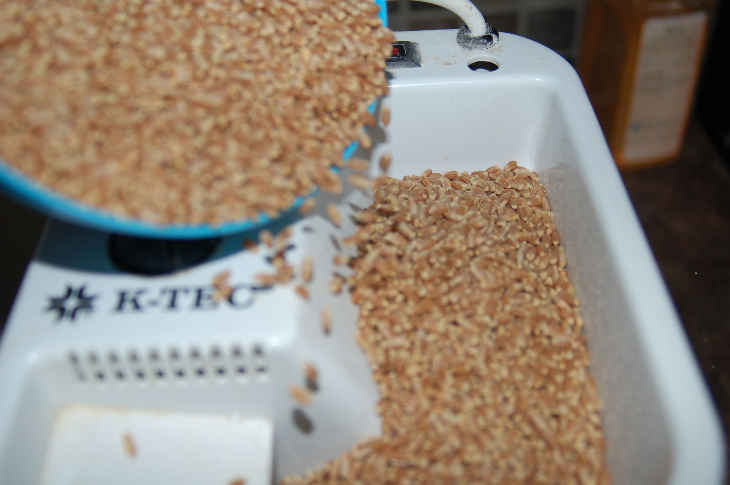 How to Make Whole Wheat Bread : 11 Steps (with Pictures) - Instructables