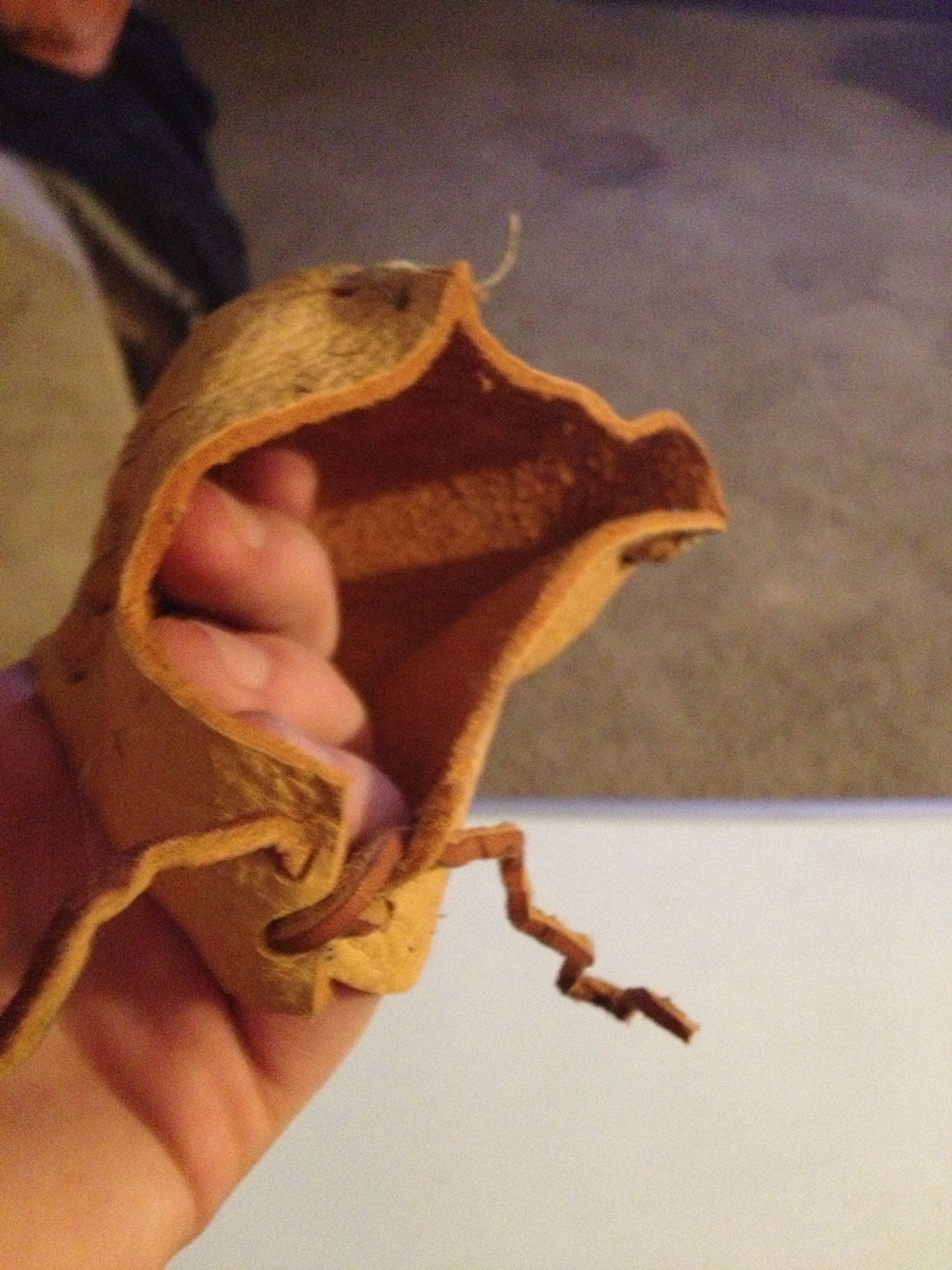 Ewok Cat Hats : 4 Steps (with Pictures) - Instructables