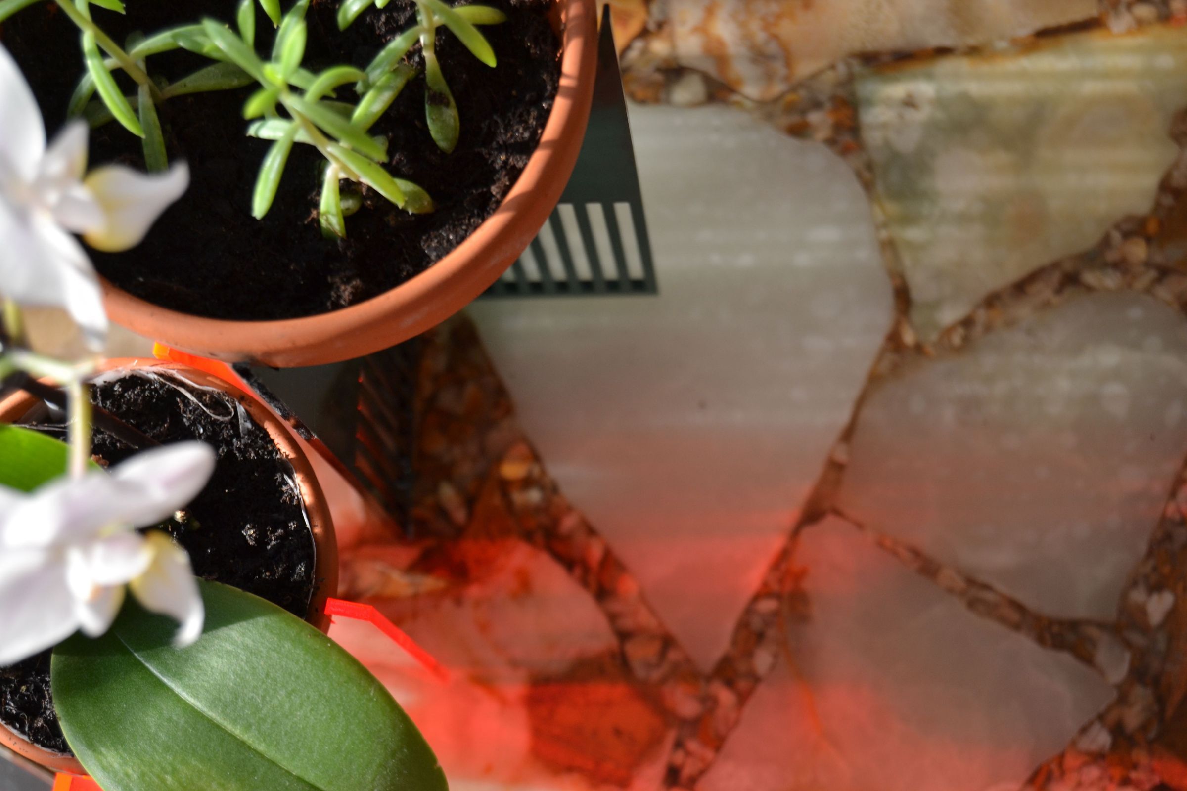 Laser Cut Planters : 7 Steps (with Pictures) - Instructables