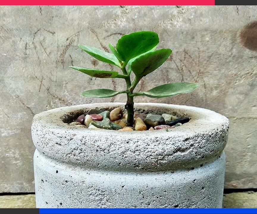 Concrete Tree Planter : 5 Steps (with Pictures) - Instructables