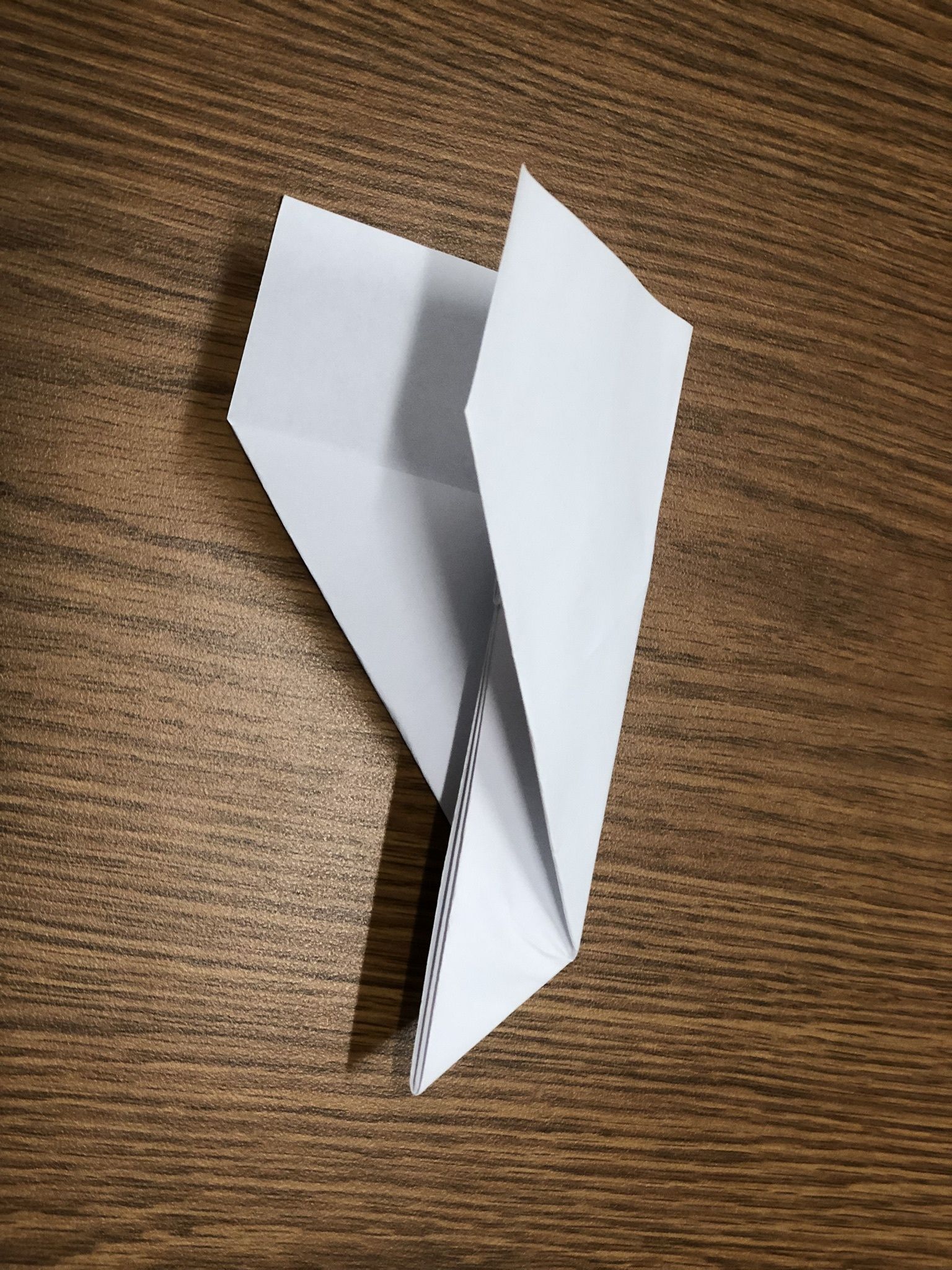 Contest Winning Paper Airplane : 10 Steps - Instructables