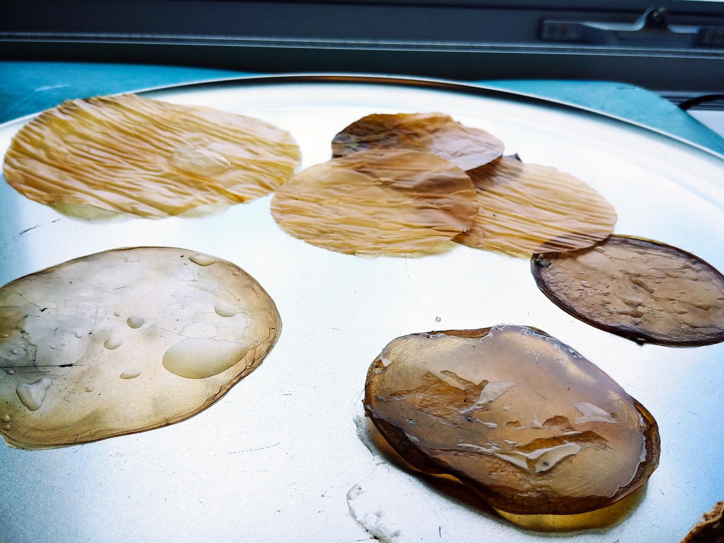 DIY Kombucha - Bacterial Cellulose Fermentor : 19 Steps (with Pictures ...