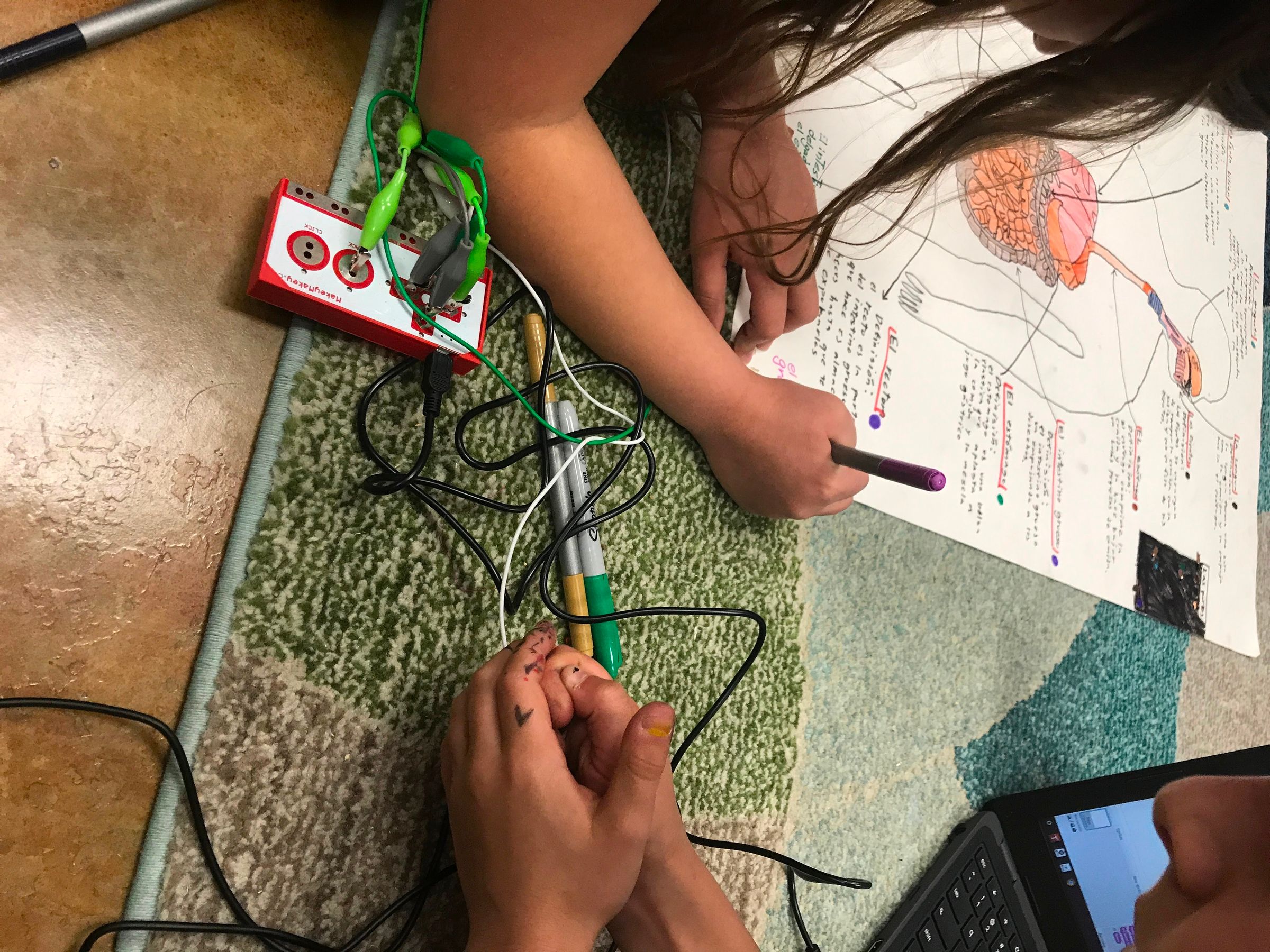 Make an Interactive Science Exhibit : 7 Steps (with Pictures ...