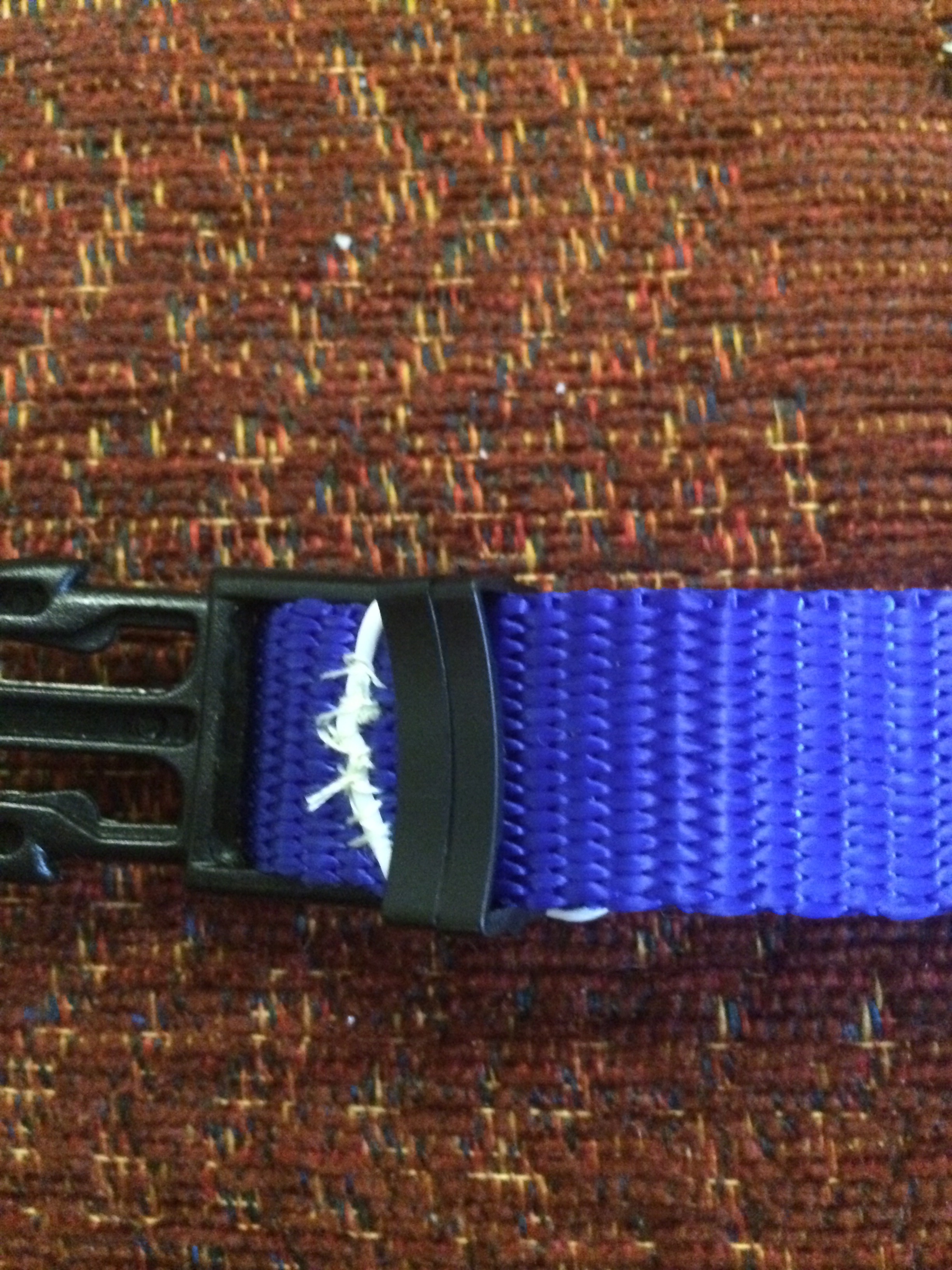 Loom Band Dog Collar Revamp : 8 Steps - Instructables