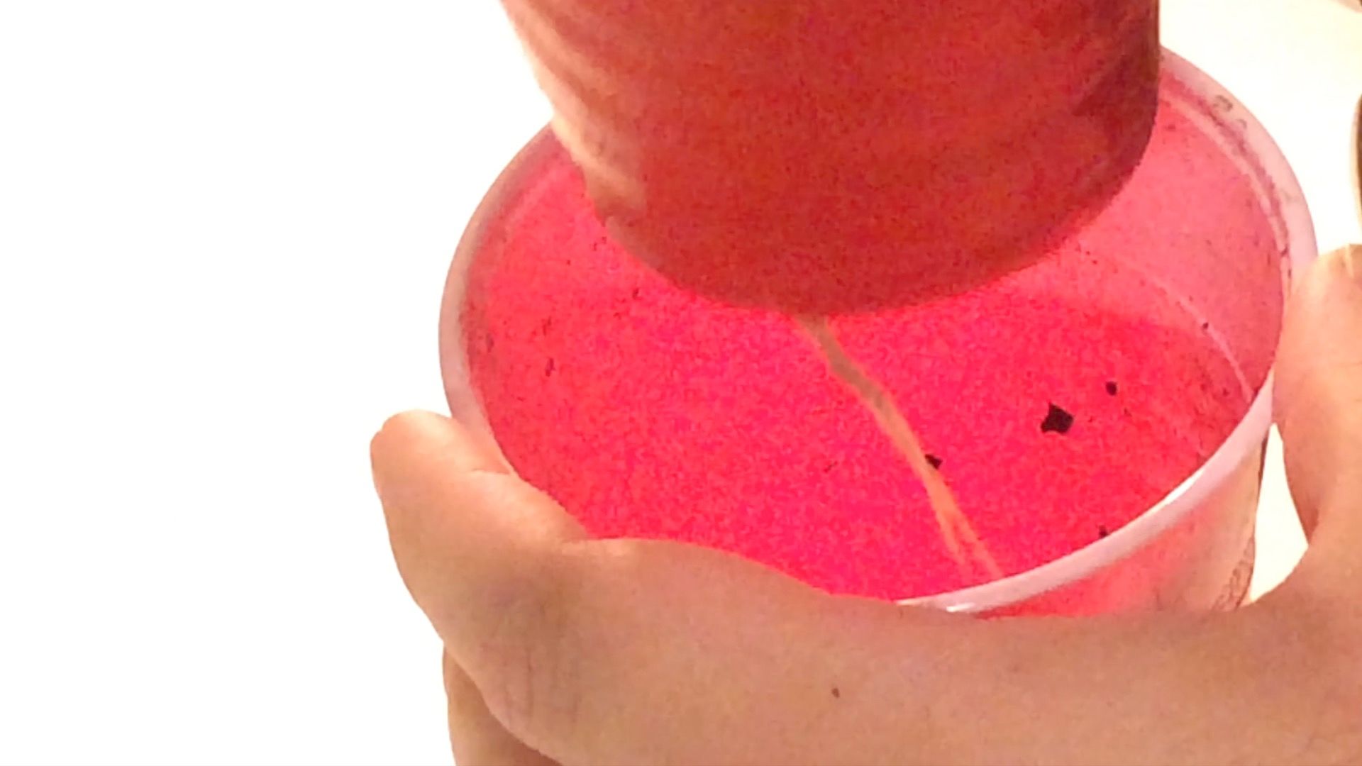 Transform Ordinary Solo Cups Into a Hybrid Hydroponic/Soil Plant ...