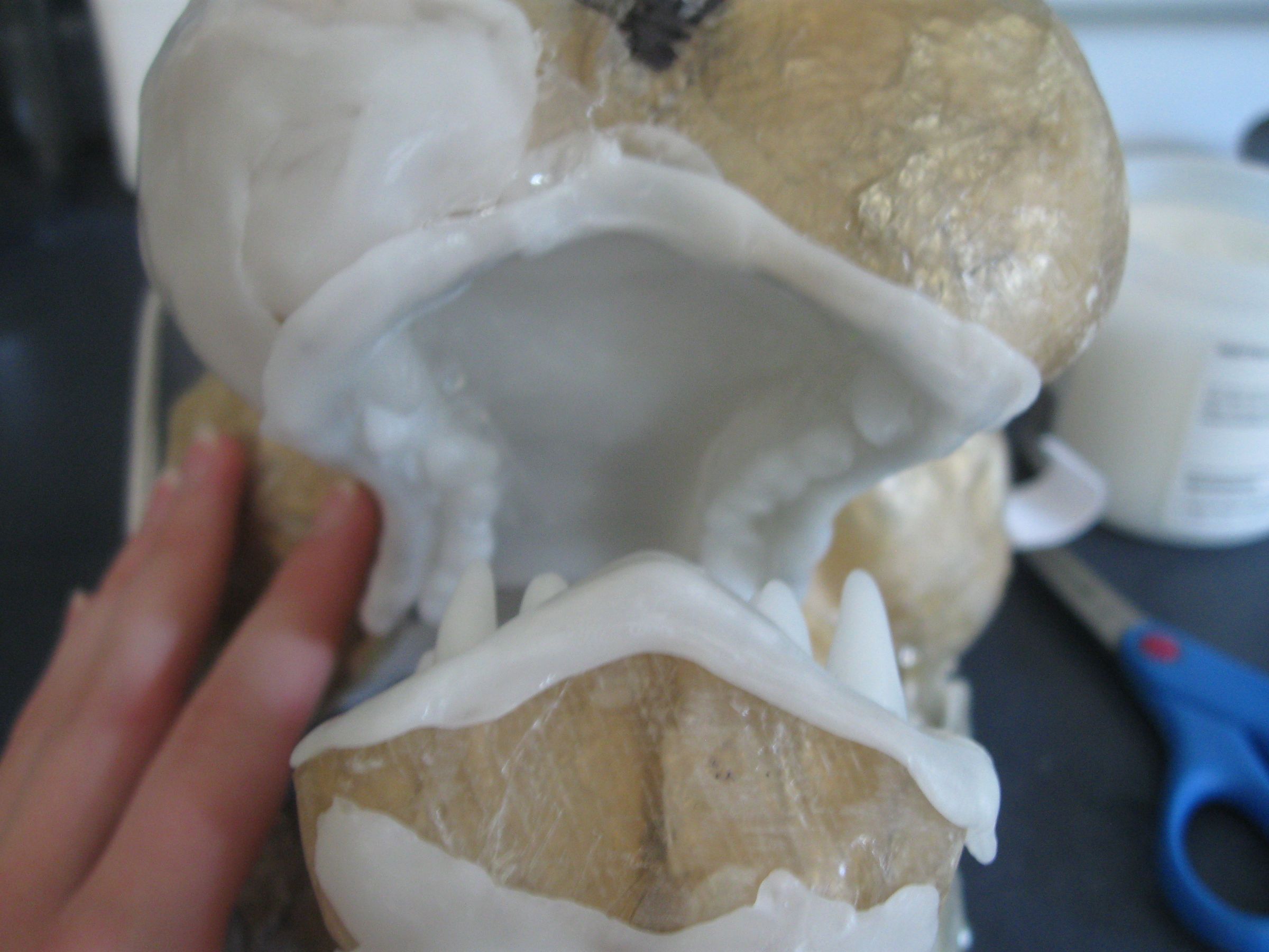 Making a Cat(?) Mask With Fiberglass : 18 Steps (with Pictures ...