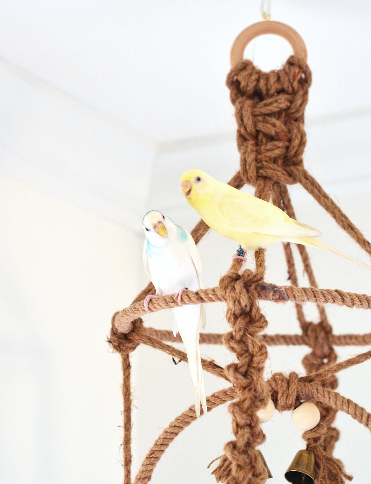 Macrame Bird Perch : 11 Steps (with Pictures) - Instructables