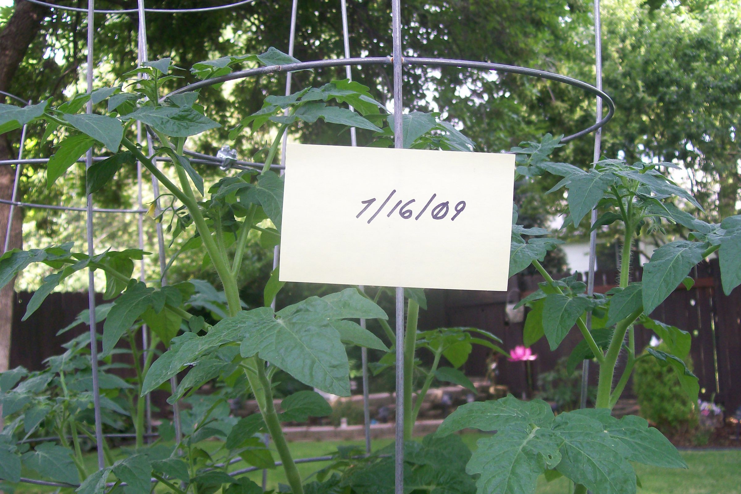 How to Build Your Own Growing Containers : 13 Steps - Instructables