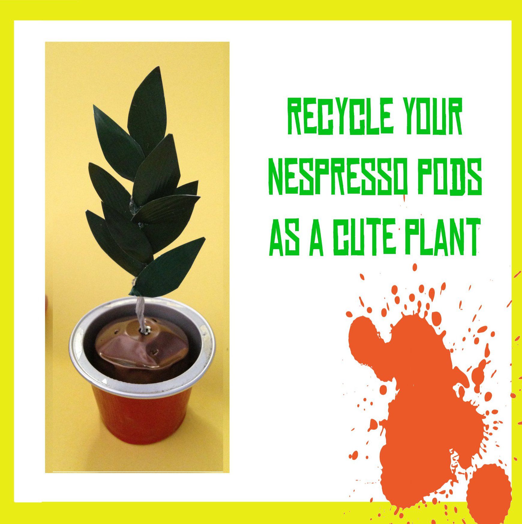 Nespresso Pod Pot Plant : 10 Steps (with Pictures) - Instructables