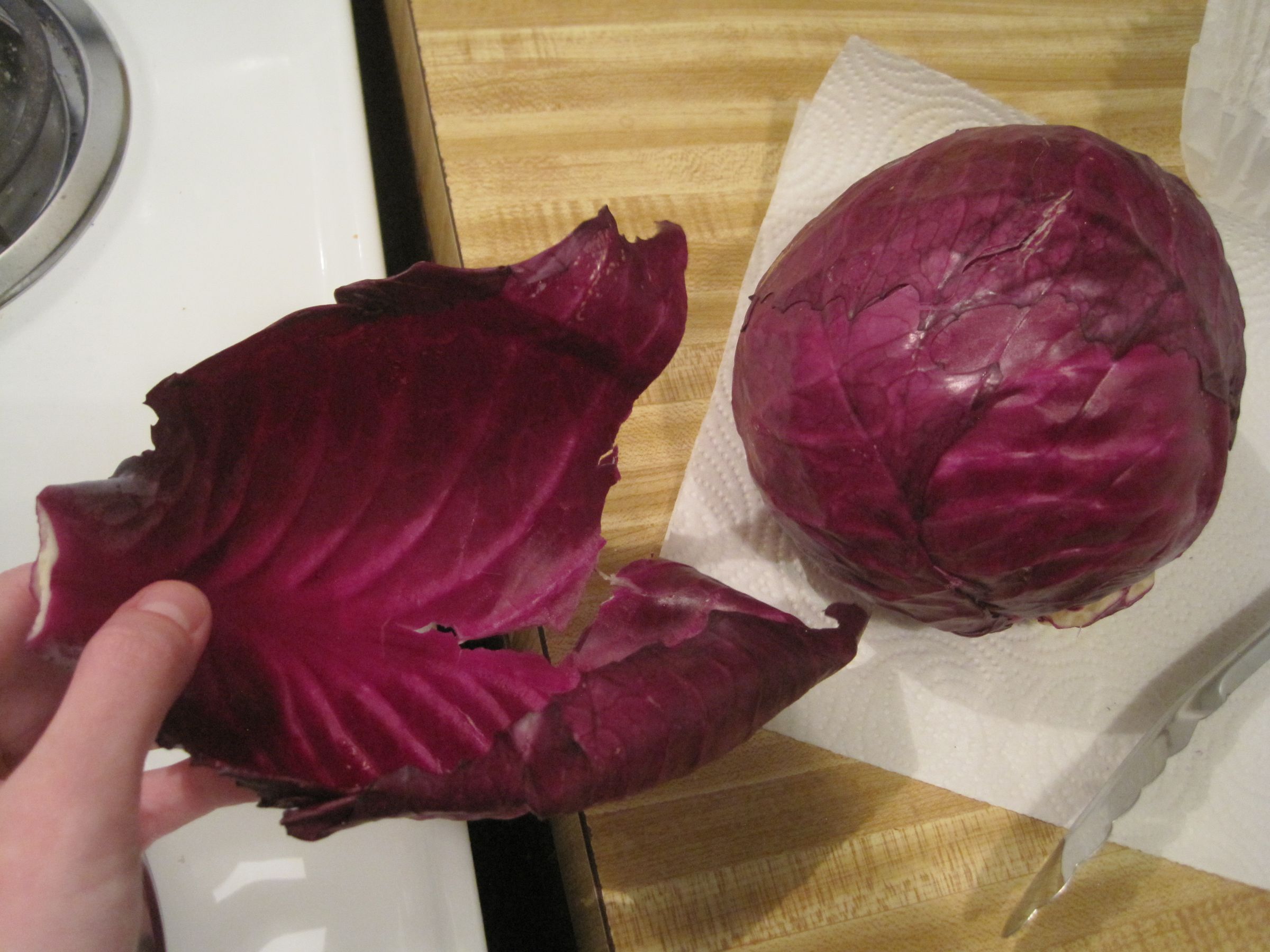 Red Cabbage PH Indicator : 14 Steps - Instructables