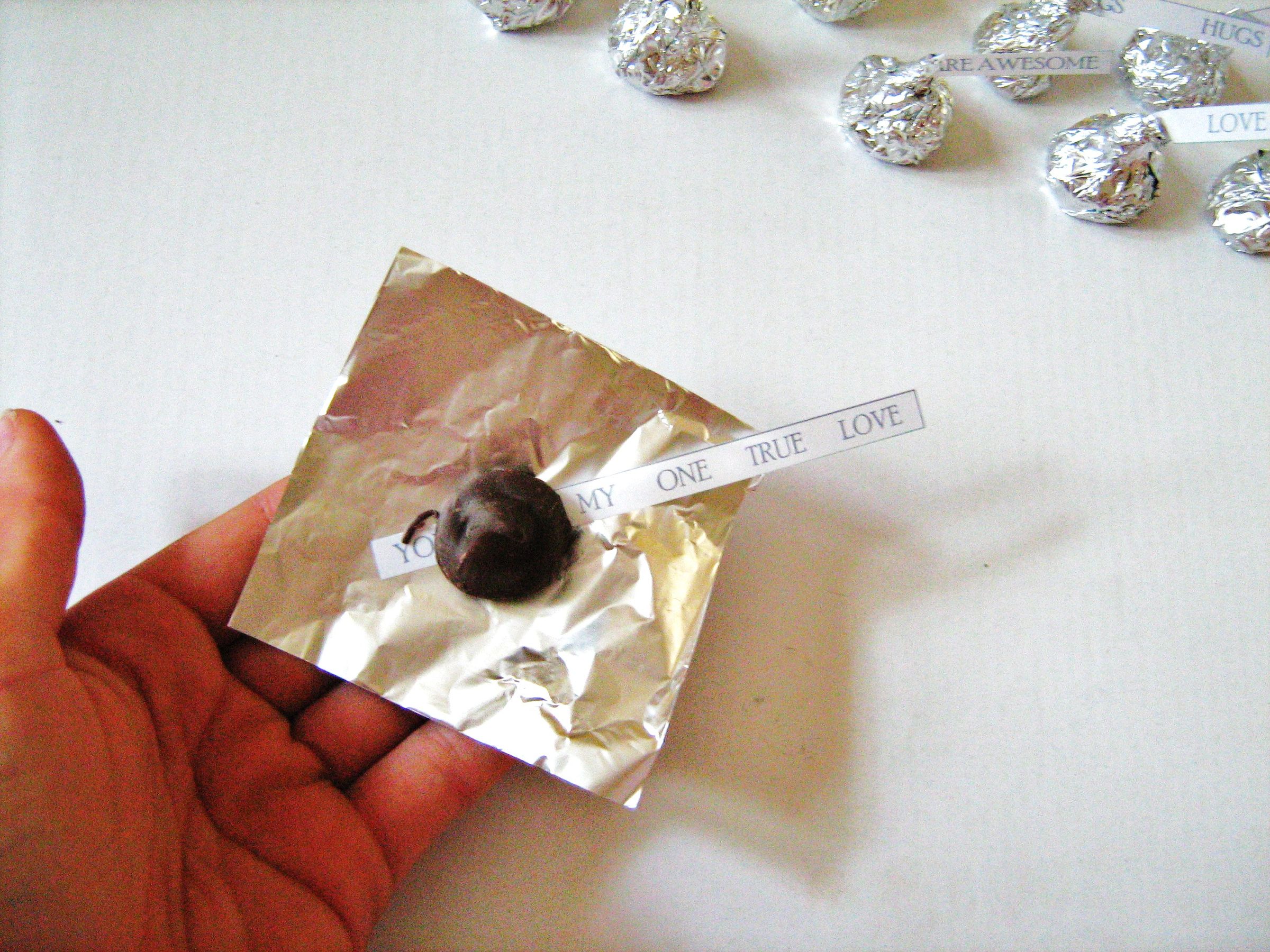How to Make Custom Chocolate Kisses + Template : 4 Steps (with Pictures ...