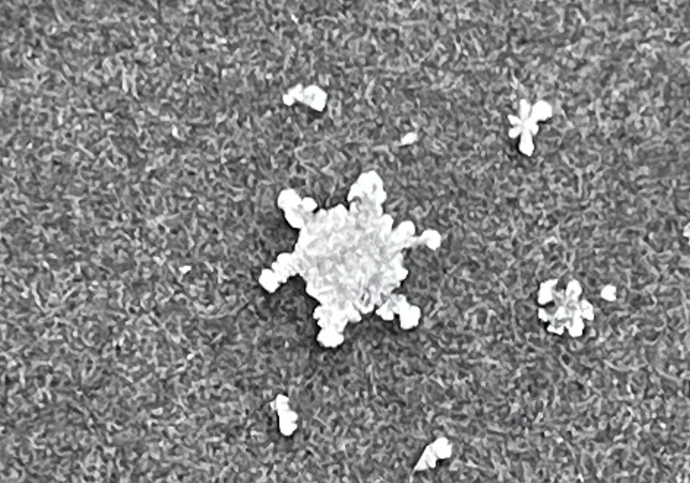 Capture Snowflakes With Photography (with Pictures) - Instructables