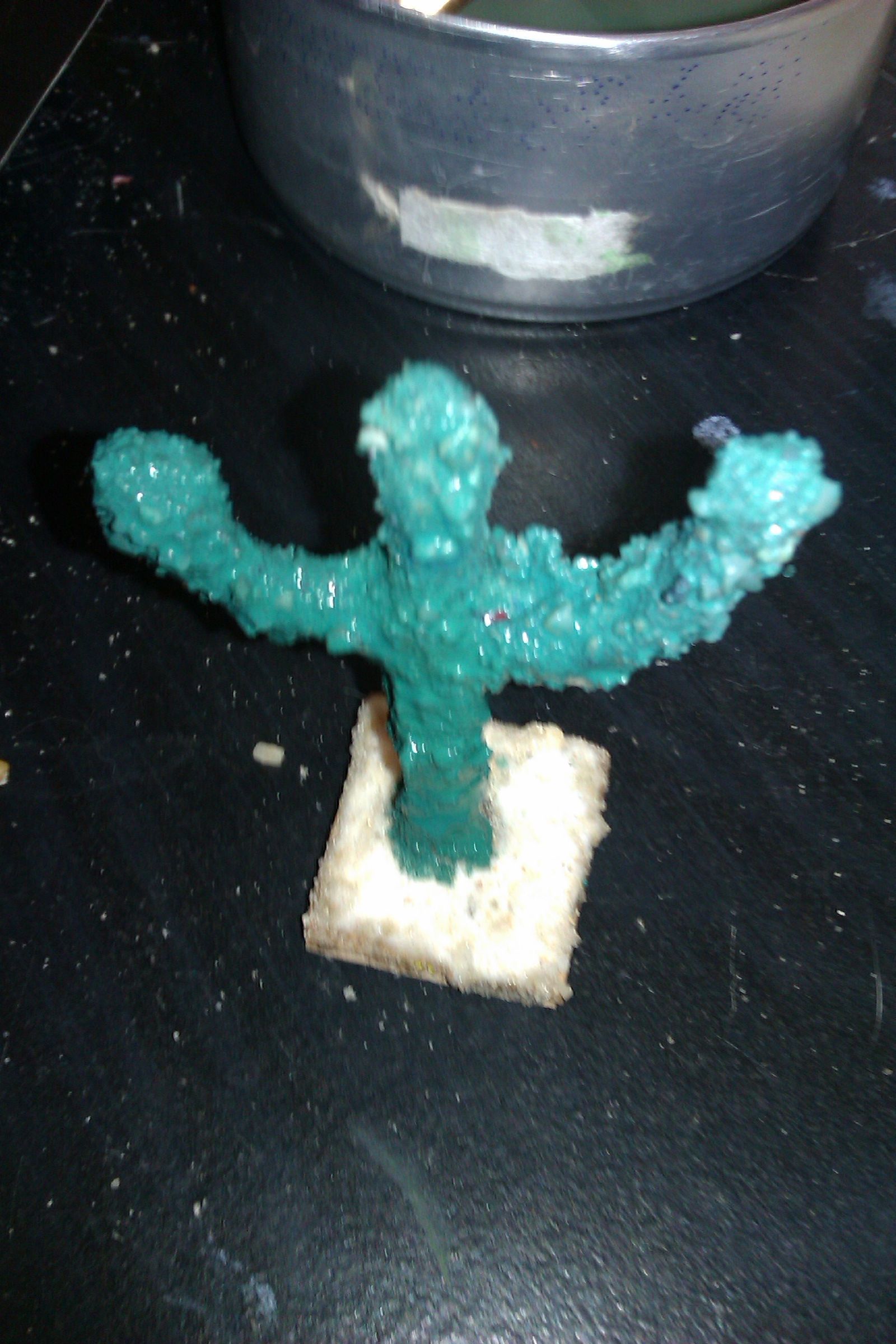 RPG Cactus : 9 Steps - Instructables