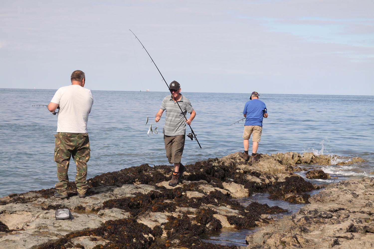 Solar Cooked Wild Mackerel on the Rocks : 7 Steps (with Pictures ...