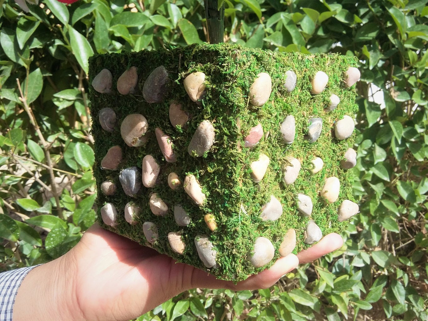 How To Make Flower Pot From Cardboard Pebbles Cardboard Flower Pot Easy How To Make Flower Pot From Cardboard Pebbles Cardboard Flower Pot Easy