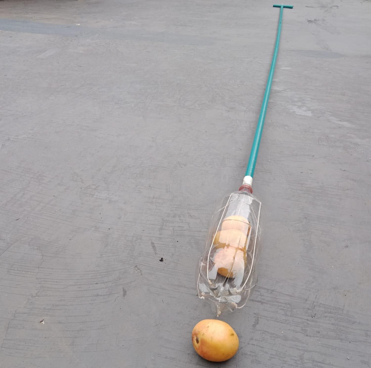 Homemade Fruit Picker : 14 Steps (with Pictures) - Instructables