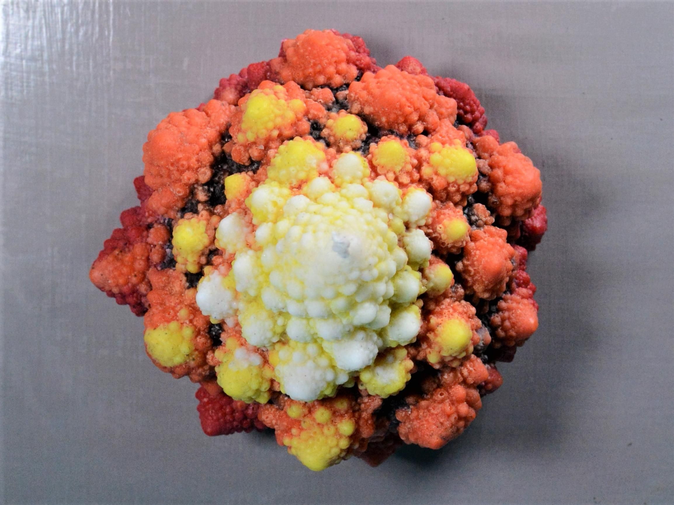 Turn Romanesco Broccoli Into a Candle : 17 Steps (with Pictures ...