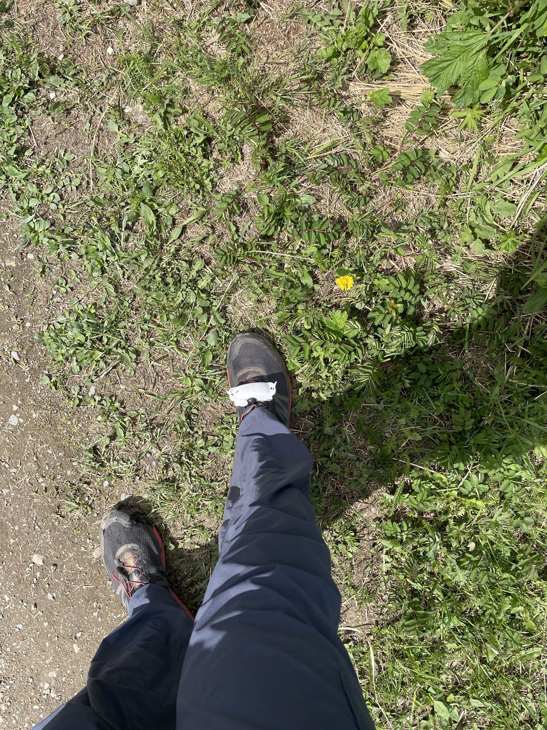 Roving Inclinometer With IPhone Data Logging : 6 Steps (with Pictures ...