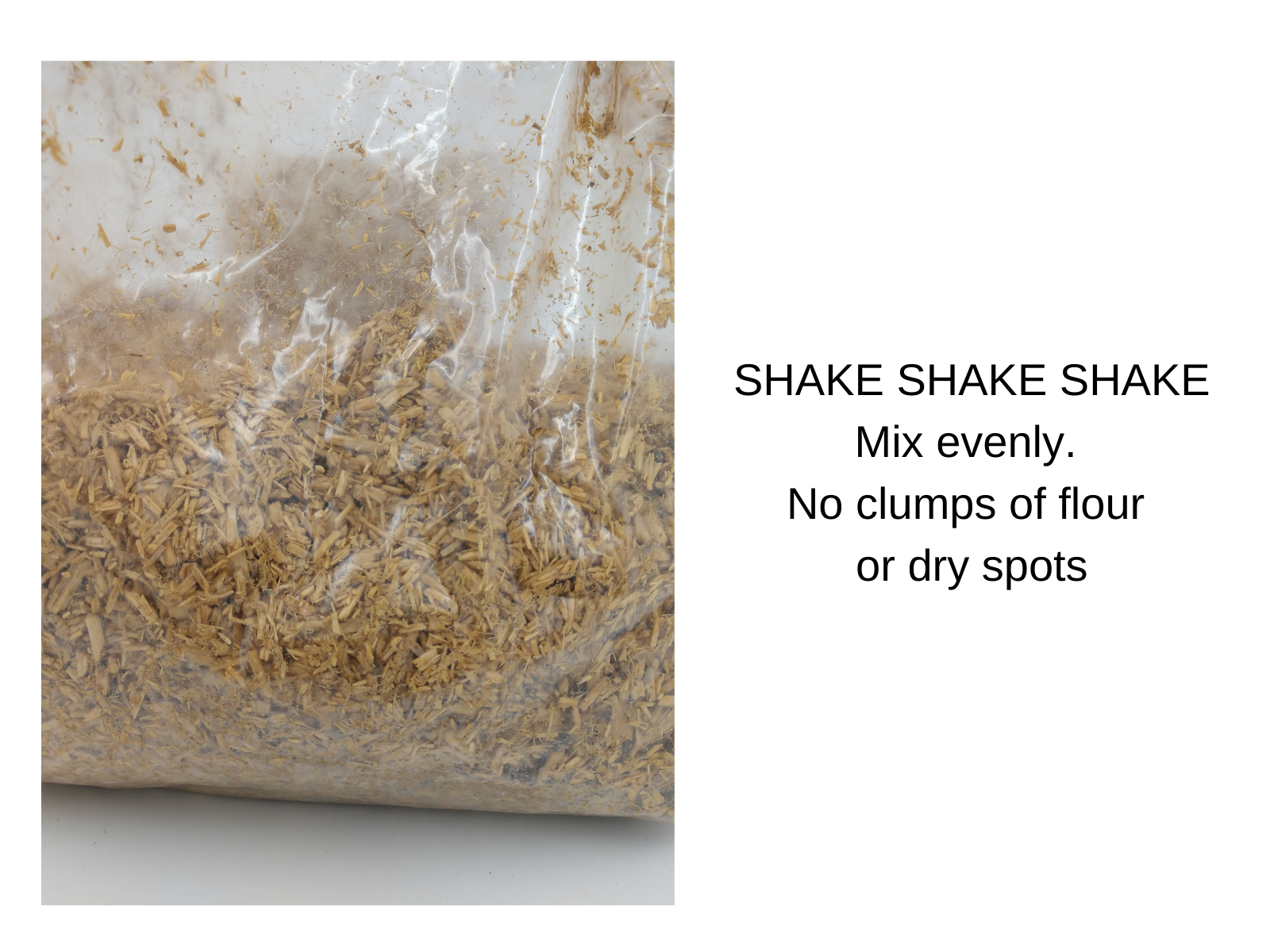 Growing Mycelium in the Classroom and Making Stuff With It ...