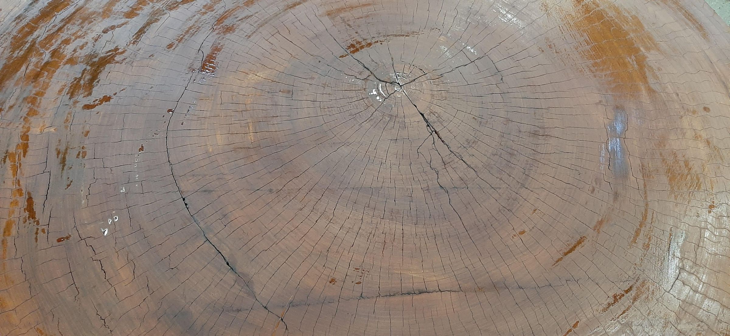 Tree Slab Lounge Table With Rgb Led Lights : 5 Steps (with Pictures ...