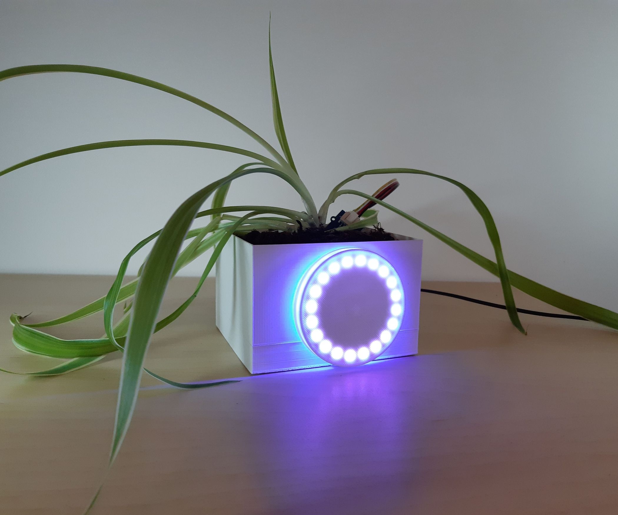 Connected Flowerpot for Micro:bit : 4 Steps - Instructables