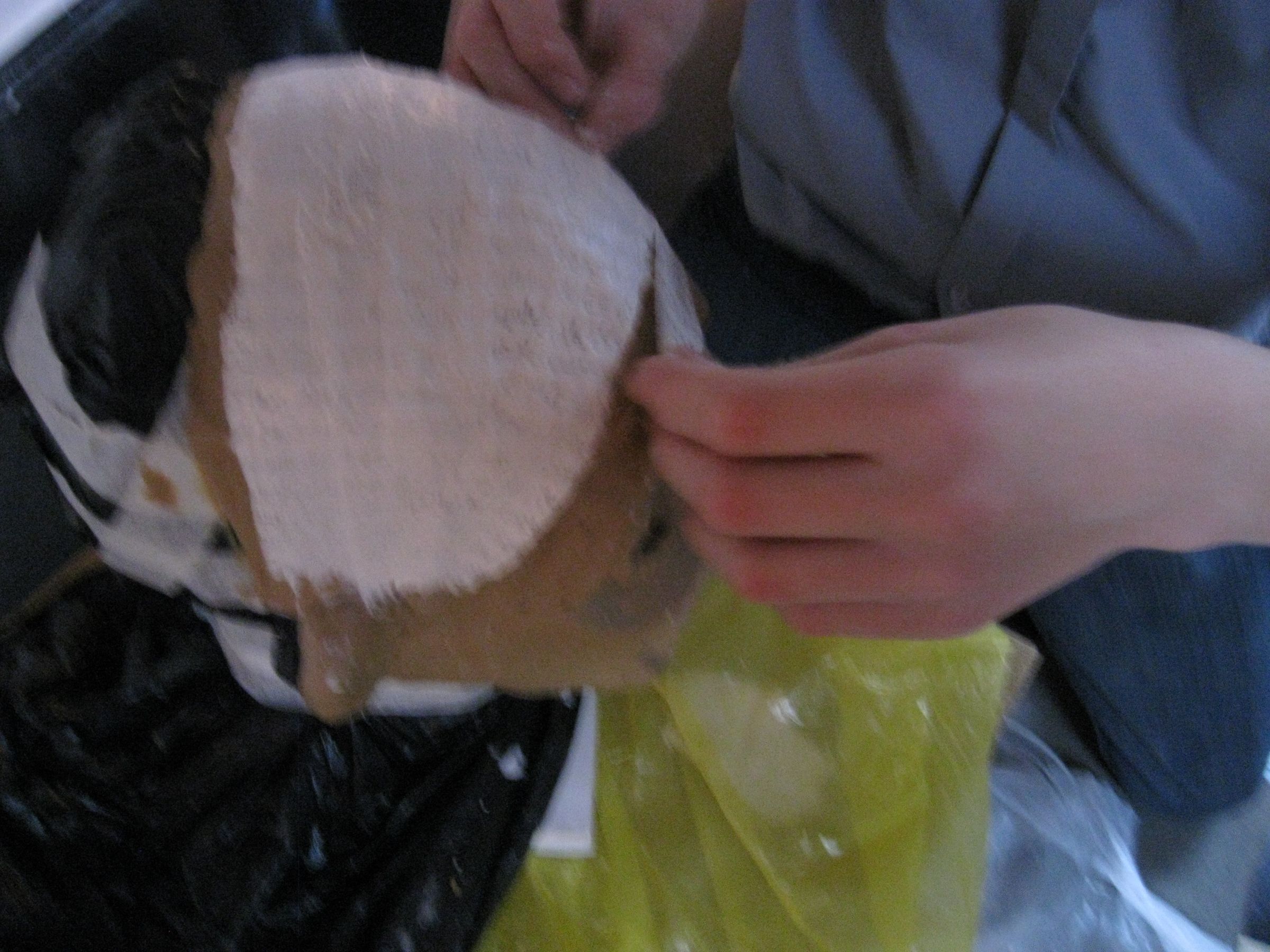 Terrifying High-quality Masks (Plaster of Paris) : 10 Steps (with ...