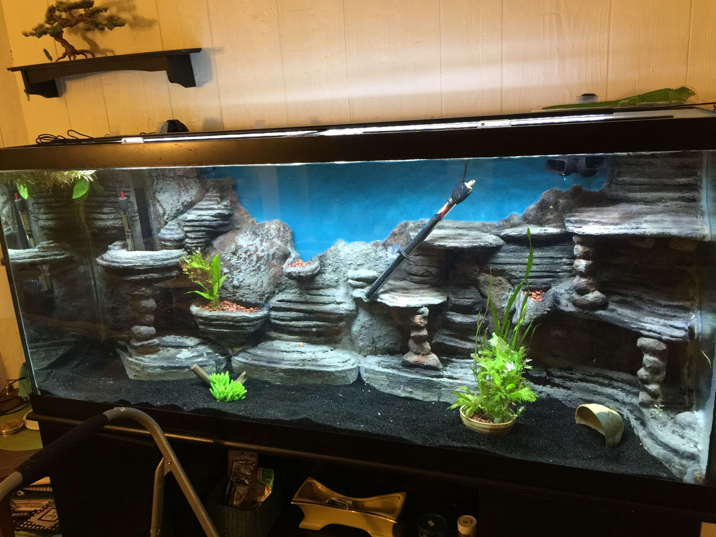 Make a 3D Aquarium Background : 14 Steps (with Pictures) - Instructables